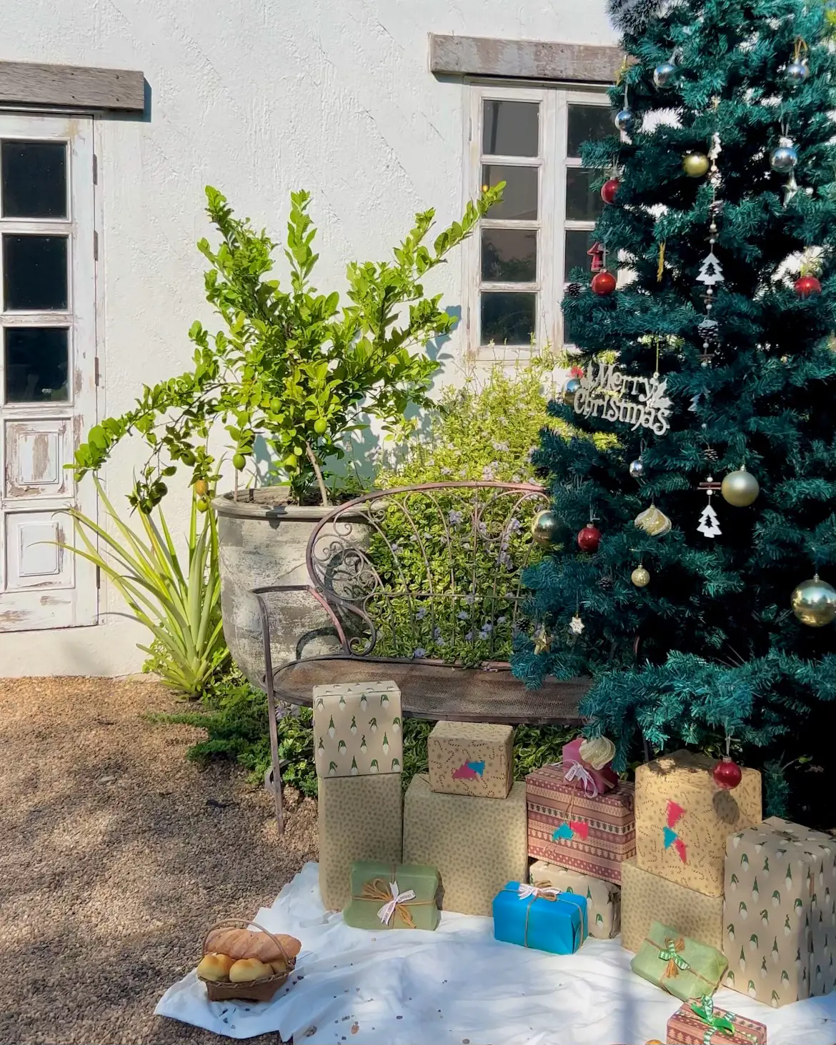 พิกัดคาเฟ่ชะอำ | แกลเลอรีที่โพสต์โดย Petong (เปตอง) | Lemon8