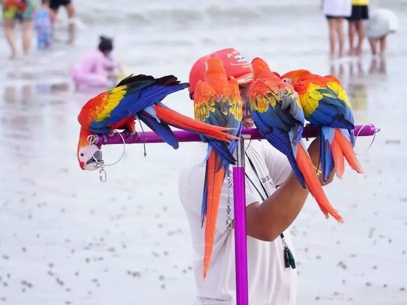 เพื่อนร่วมบินทริปนี้ | แกลเลอรีที่โพสต์โดย Freelife/time | Lemon8