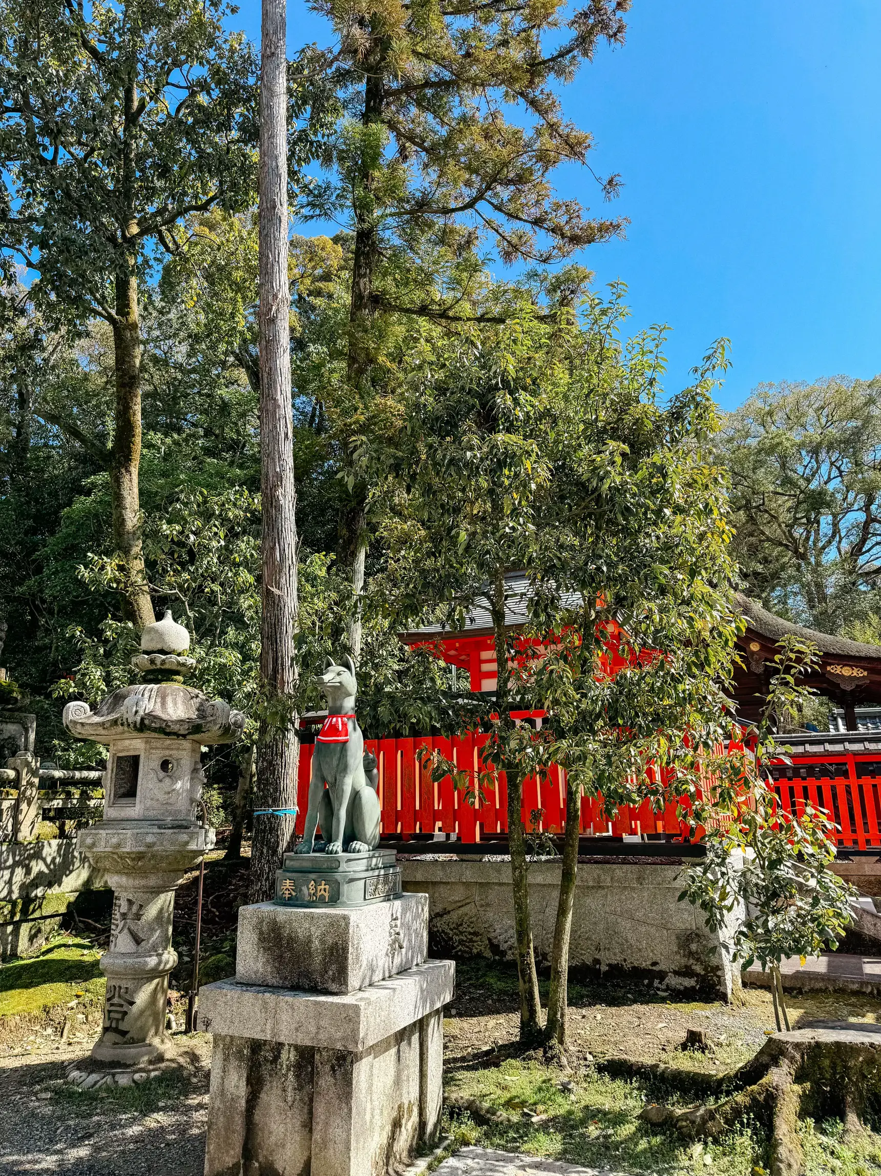 Fushimi Inari หรือ วัดเสาแดง | แกลเลอรีที่โพสต์โดย Chewlu | Lemon8