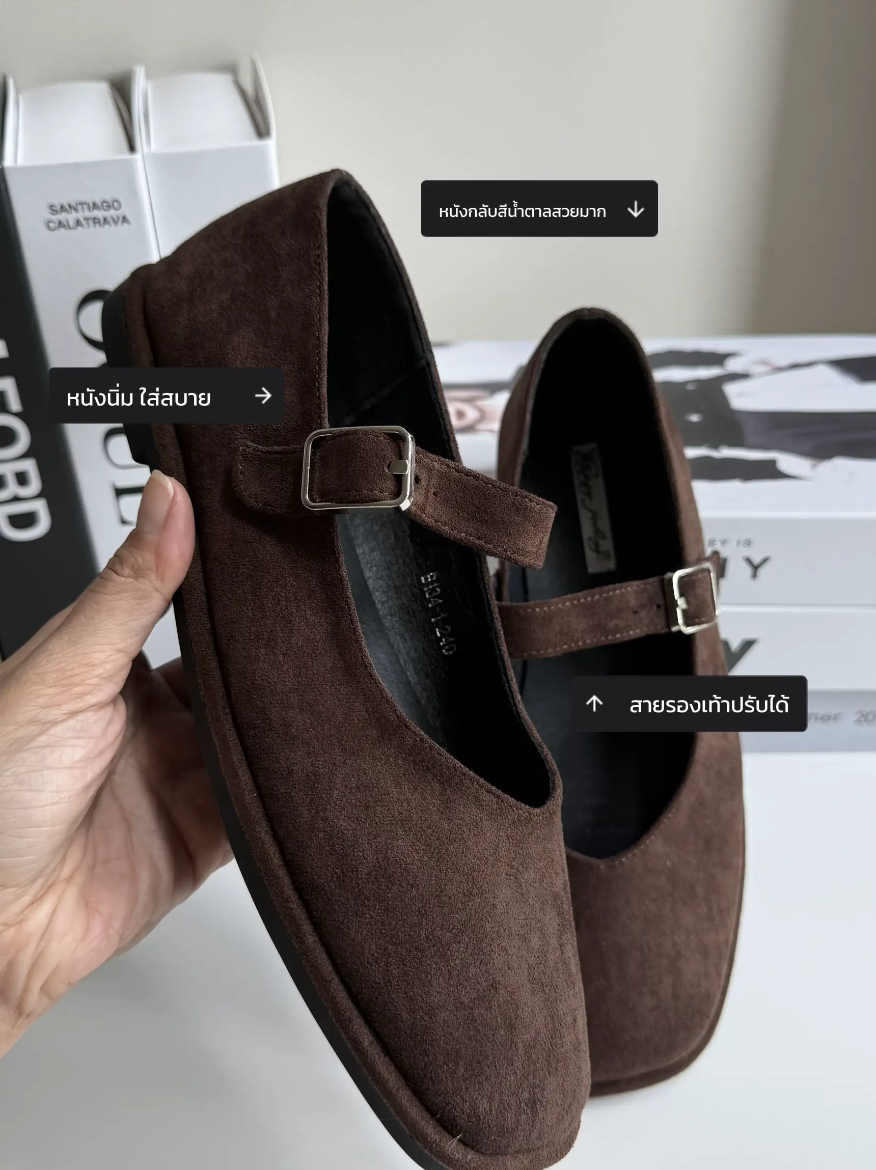 Sued Shoe สีน้ำตาลที่ถูกต้อง 🤎 | แกลเลอรีที่โพสต์โดย Nokkrajibb | Lemon8