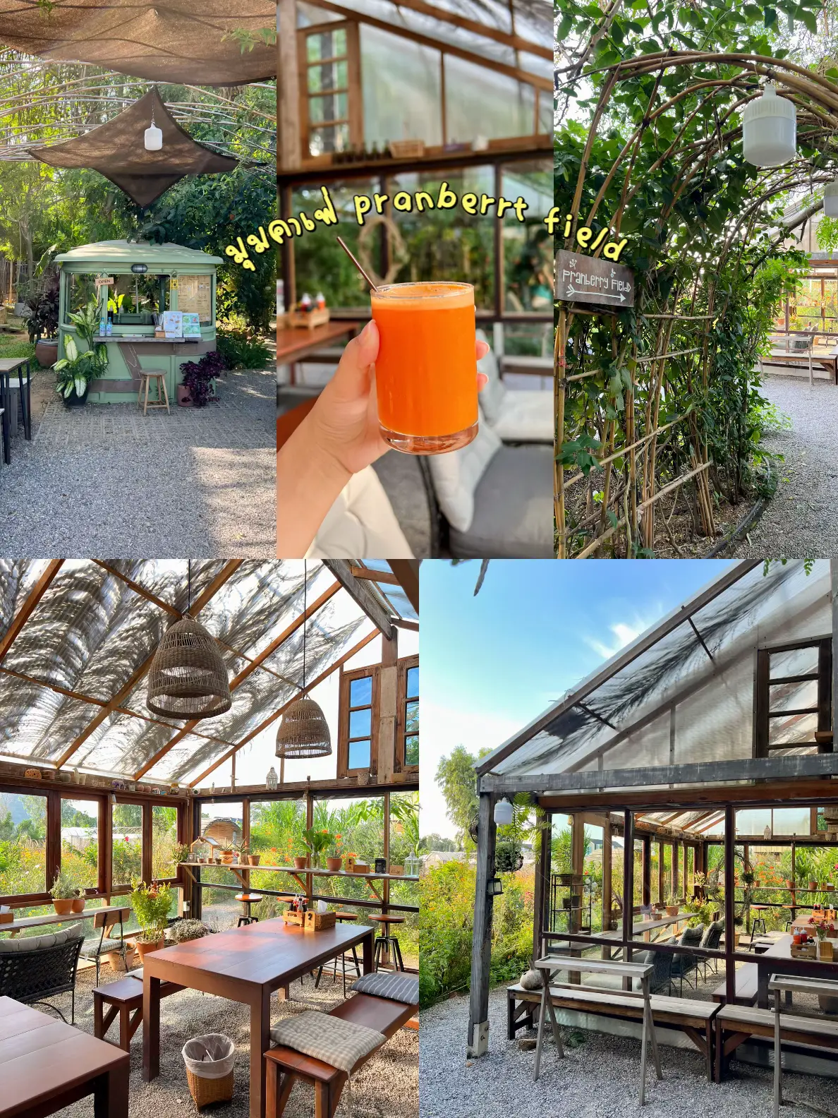 PRANBERRY EARTH ที่พักบ้านดินสุดคิ้วววท์ 🏠🌳 | แกลเลอรีที่โพสต์โดย ...