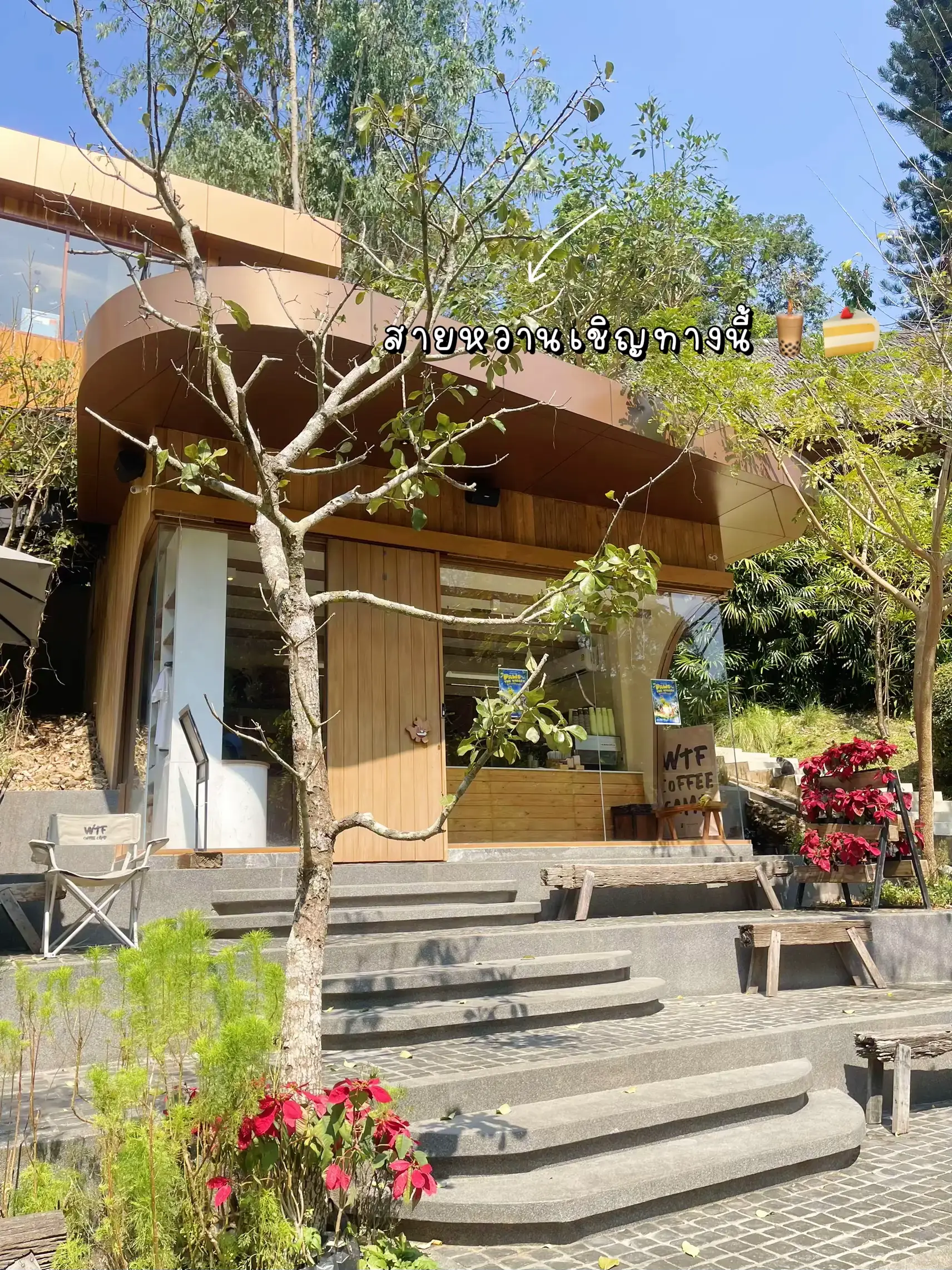 Wtf coffee camp คาเฟ่ริมน้ำตก แม่ริม เชียงใหม่⛰️🍃 | แกลเลอรีที่โพสต์โดย เที่ยวคาเฟ่ กับ Mo ...