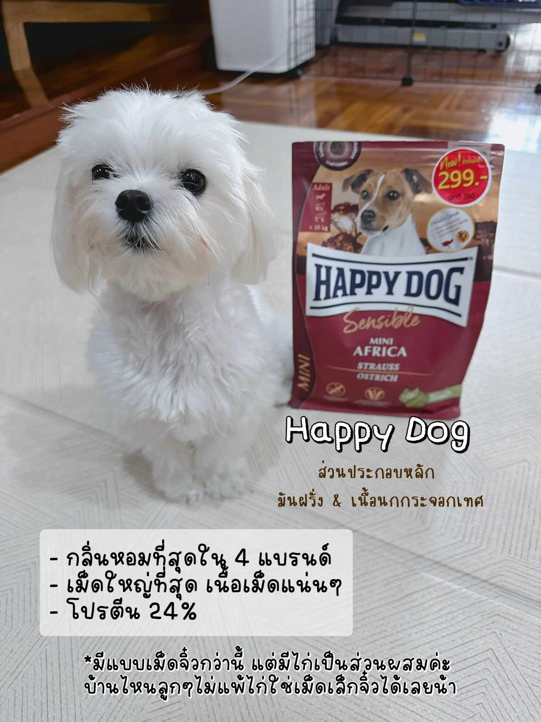 อาหารเม็ดสำหรับสุนัขตัวจิ๋ว 🐶 | แกลเลอรีที่โพสต์โดย polar.maltese | Lemon8