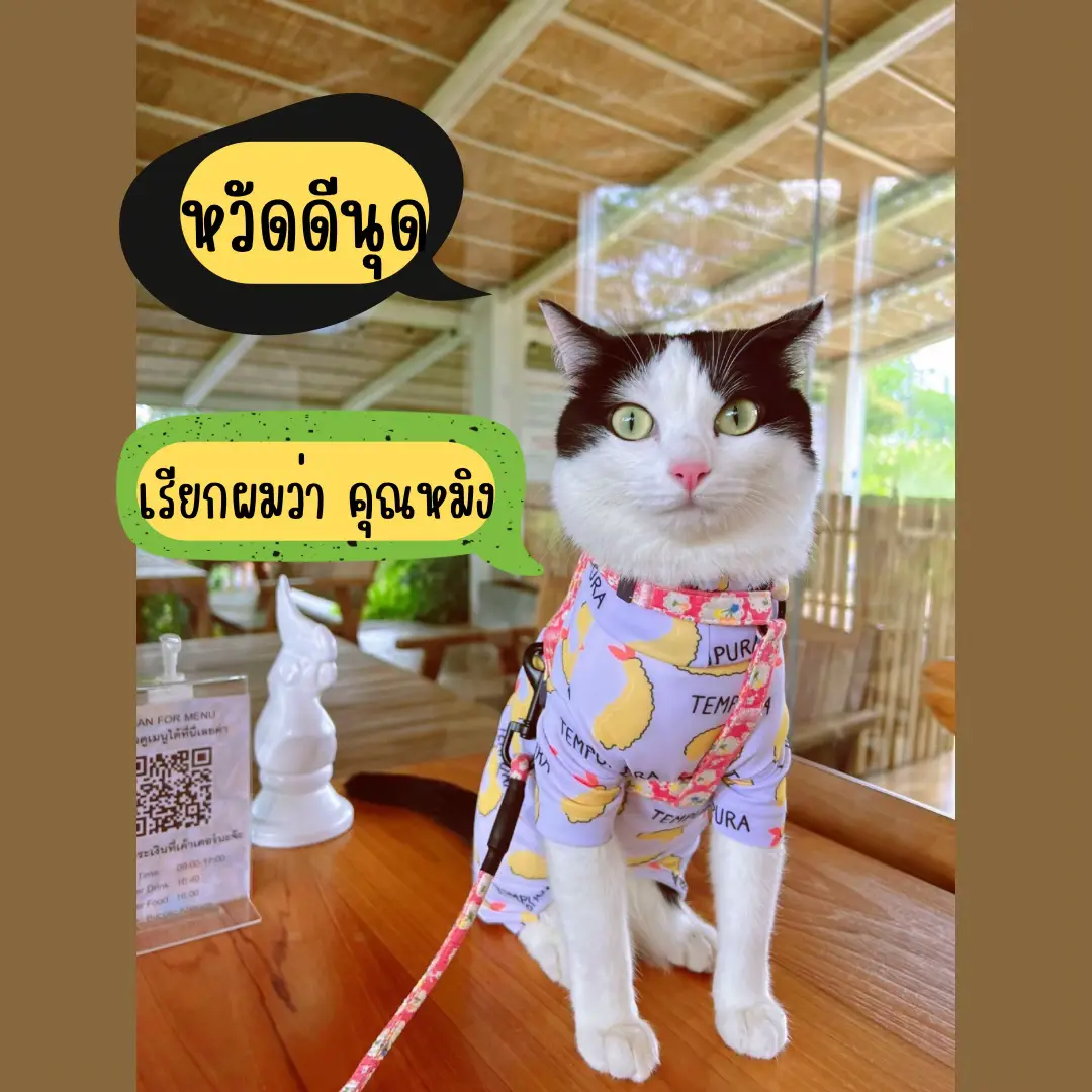 เที่ยวคาเฟ่ Bucolic Khaoyai ฉบับ พาคุณหมิงไปด้วย | แกลเลอรีที่โพสต์โดย Ceo.Fon | Lemon8