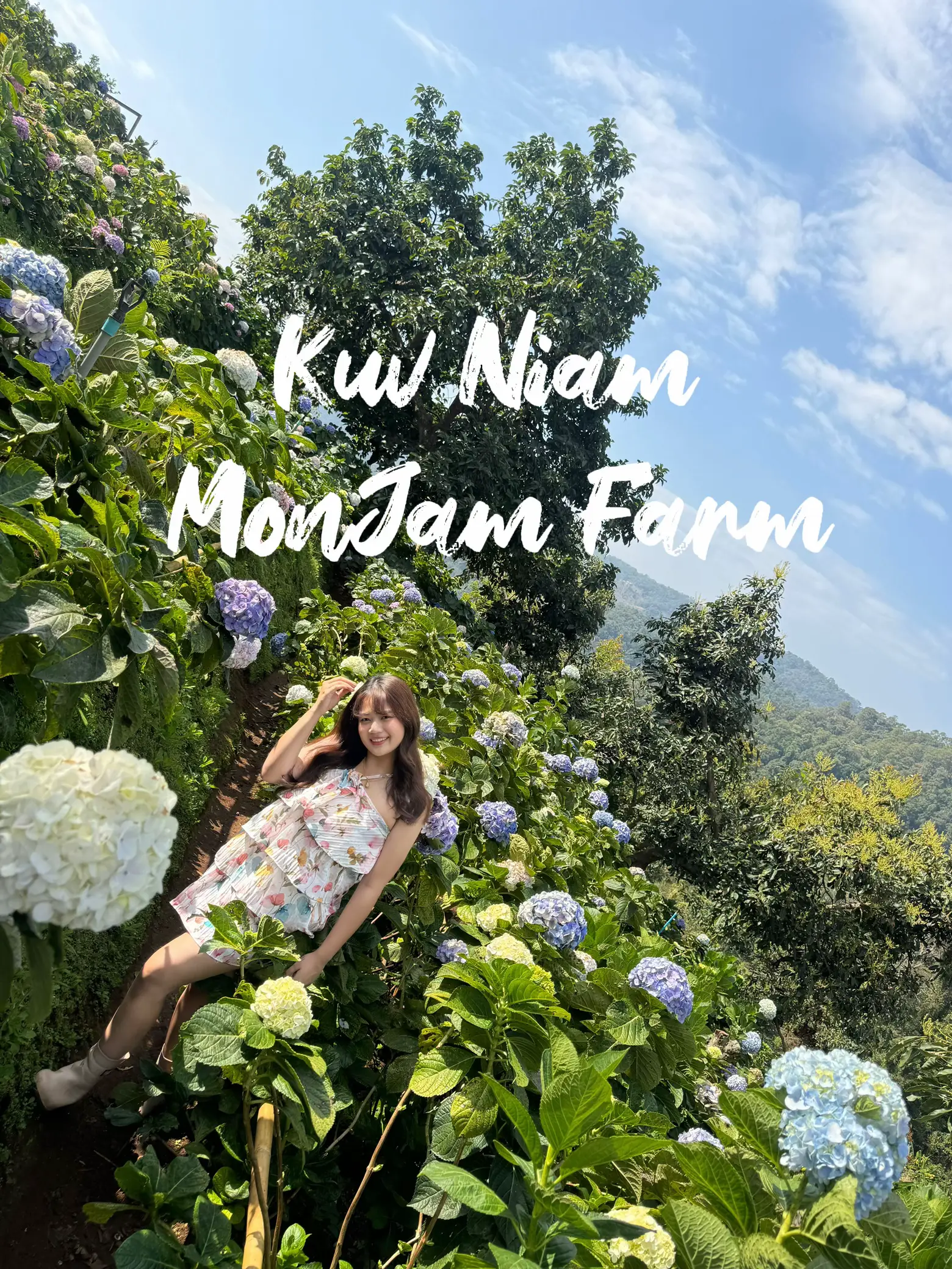 Kuv Niam MonJam Farm | แกลเลอรีที่โพสต์โดย Sugaringcindy | Lemon8