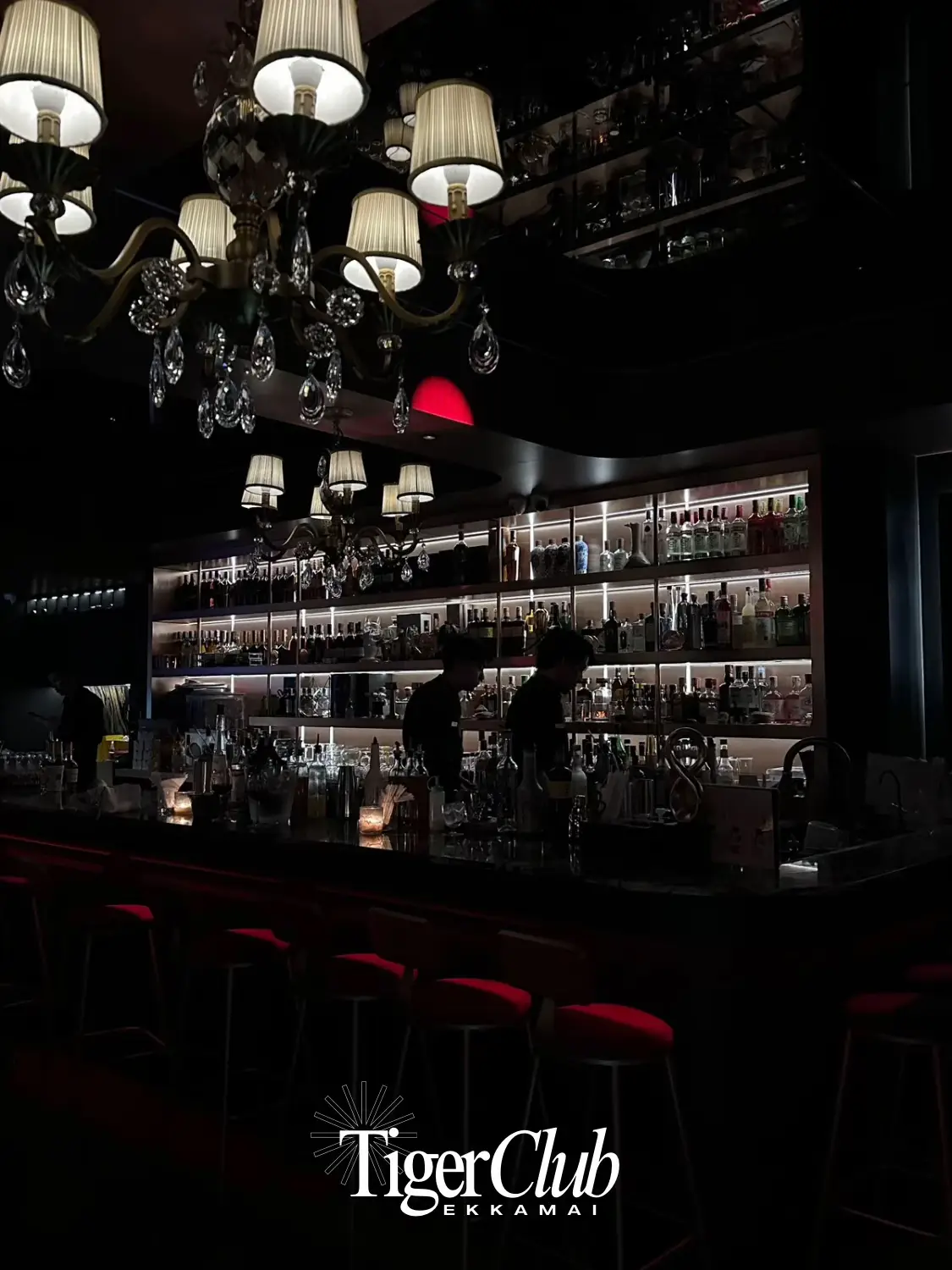 Tiger Club Ekkamai บาร์น้องใหม่จากเครือเสือเอกมัย 🐯🪩🍷 | แกลเลอรีที่โพสต์โดย txteaux | Lemon8