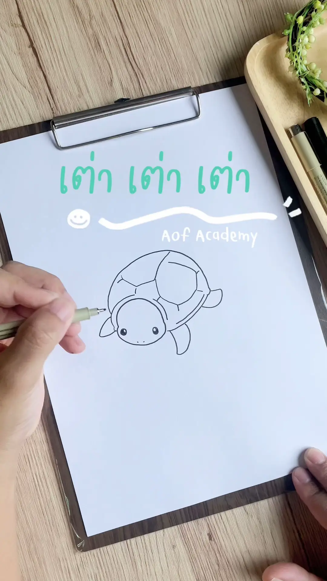 วาดเต่า มันมี 4 ขา 🐢 | วิดีโอที่เผยแพร่โดย Aof Academy | Lemon8