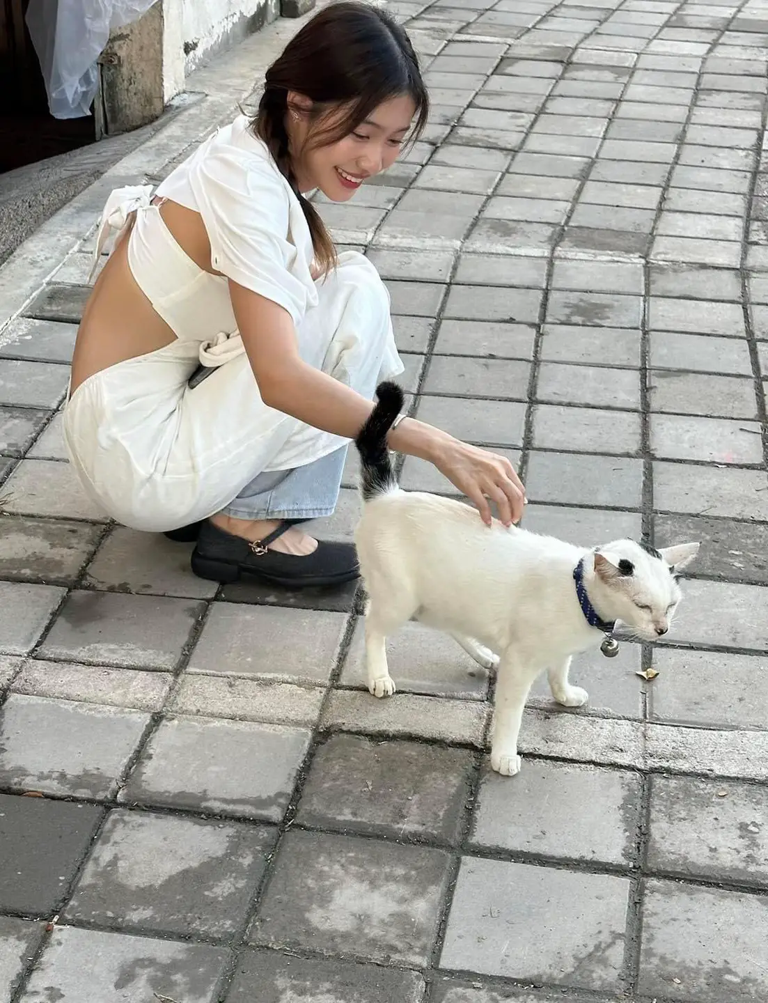 คลองแม่ข่า หรือหมู่บ้านแมวเนี่ย 🐈🫶🏻 | แกลเลอรีที่โพสต์โดย lbzero | Lemon8