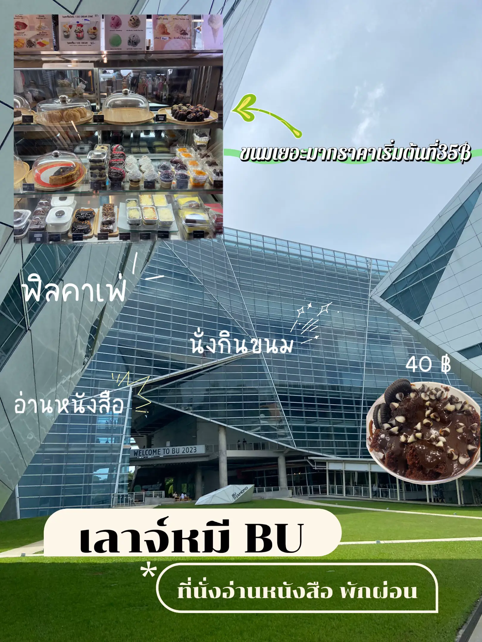 เลาจ์หมี BU | แกลเลอรีที่โพสต์โดย Bubble__Bright | Lemon8