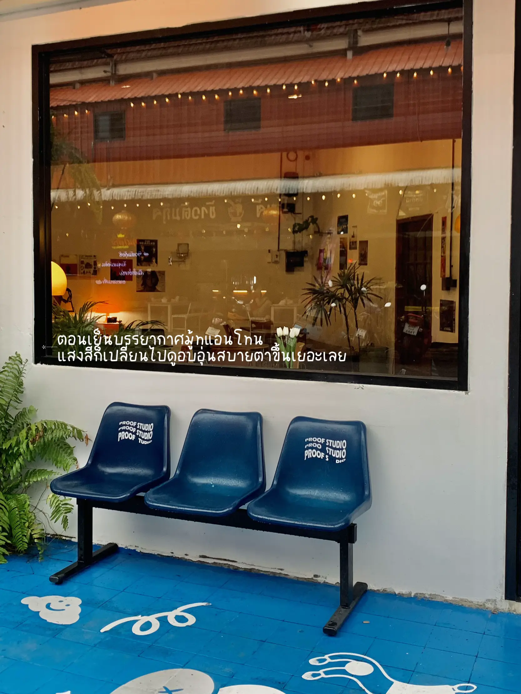 รีวิวคาเฟ่ปัตตานี 🏡🌻🌰 PROOF | แกลเลอรีที่โพสต์โดย momo.ei | Lemon8