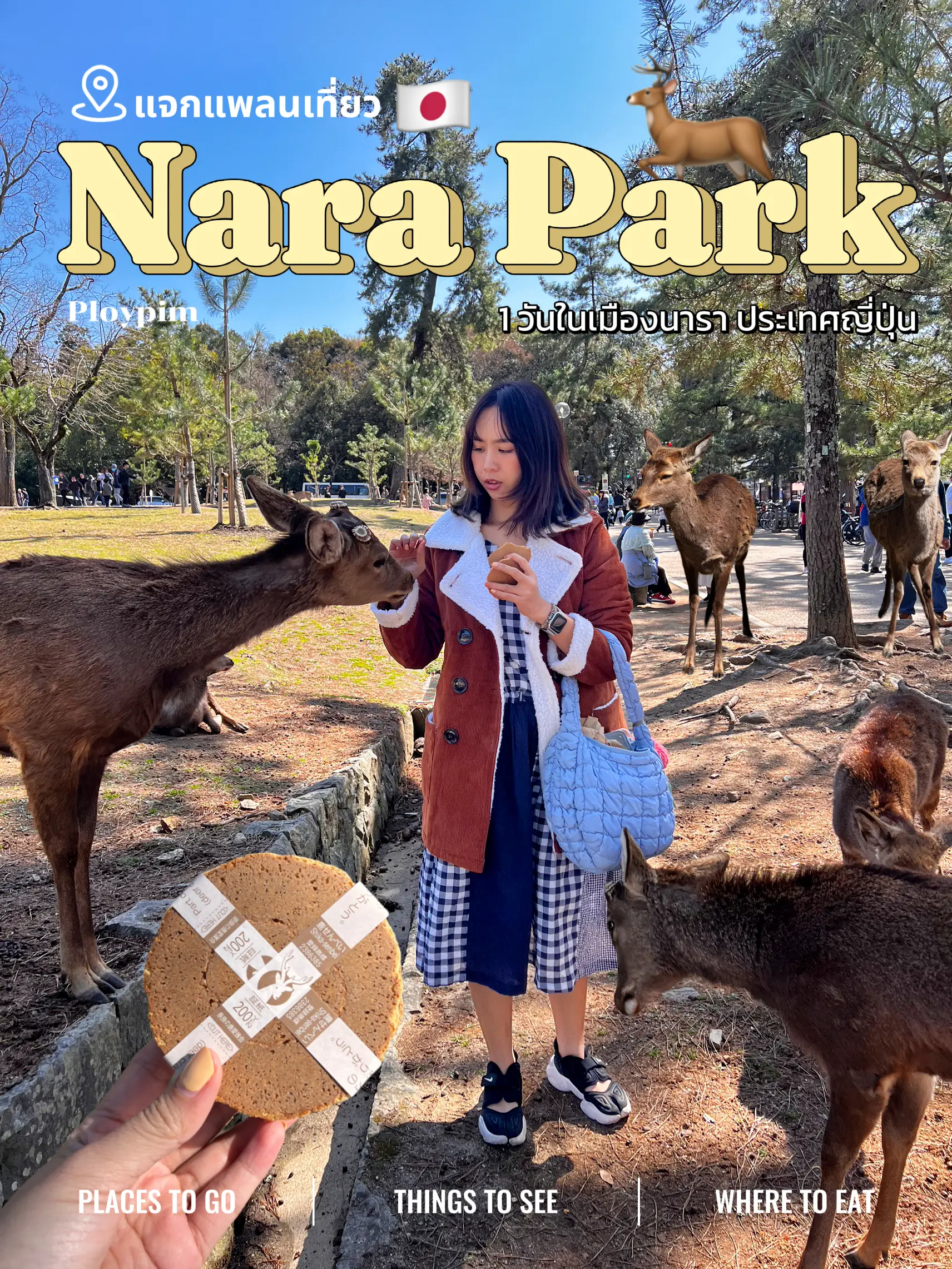 Nara ญี่ปุ่น 2024 - การค้นหาใน Lemon8