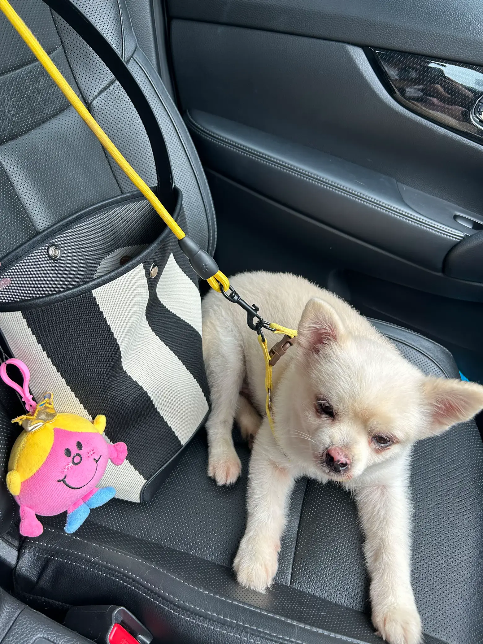 review | rally movement tote bag | Gallery posted by Pim🌺 | Lemon8