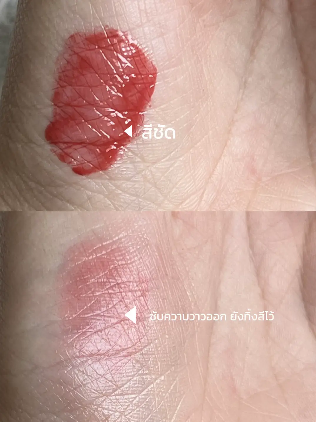 Gala Camille Lip | แกลเลอรีที่โพสต์โดย Mmim.ssk | Lemon8