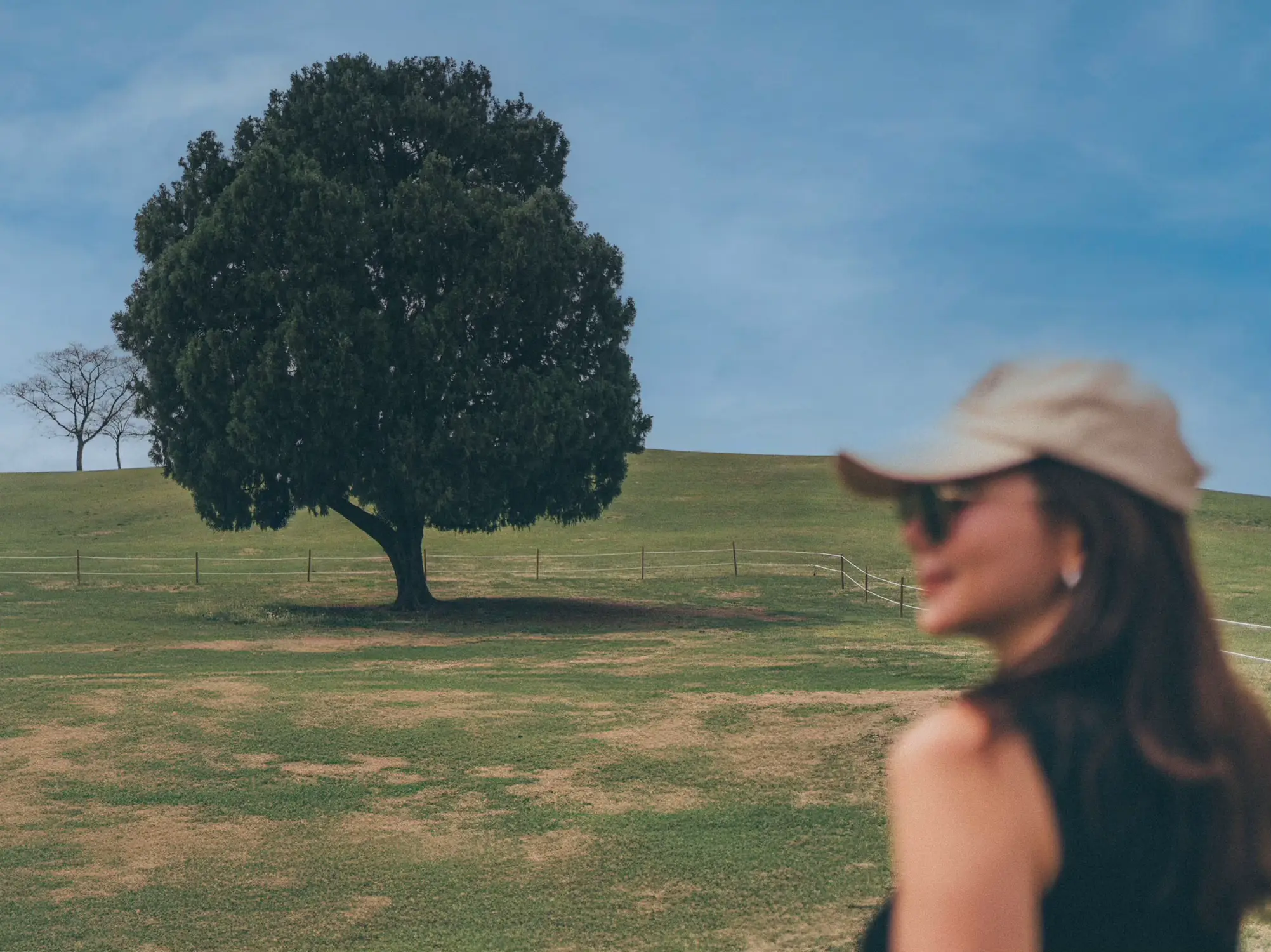 ALONE TREE 🌳 x OLYMPIC PARK Seoul | Gallery posted by Whenwewander | Lemon8