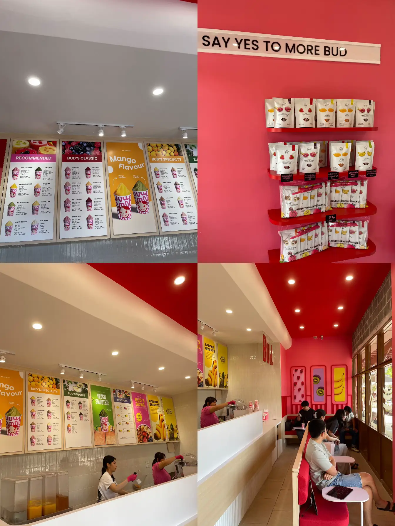 Bud smoothie 🍋🍏🍊🍎🫐🍓🍍🍌🥝🥥 (เชียงใหม่)🐶 | แกลเลอรีที่โพสต์โดย Pat. | Lemon8