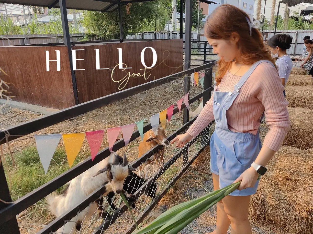 คาเฟ่เปิดใหม่พระราม2- เทียนทะเล 🍋 All weather farm 🥬 | แกลเลอรีที่โพสต์โดย Joy Daranee Rit | Lemon8