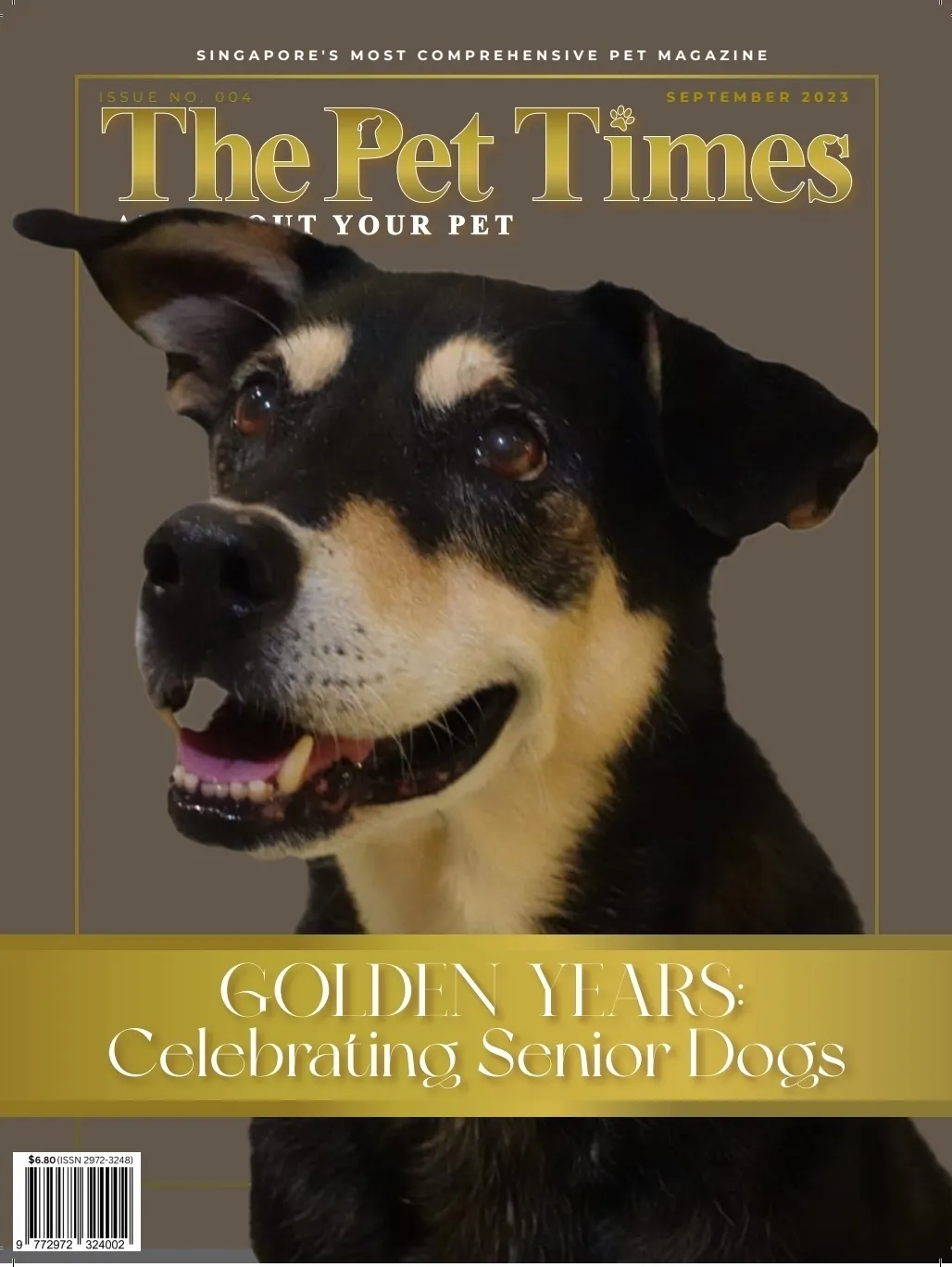 In this issue, we embark on a | Gallery posted by Pet Times Asia | Lemon8