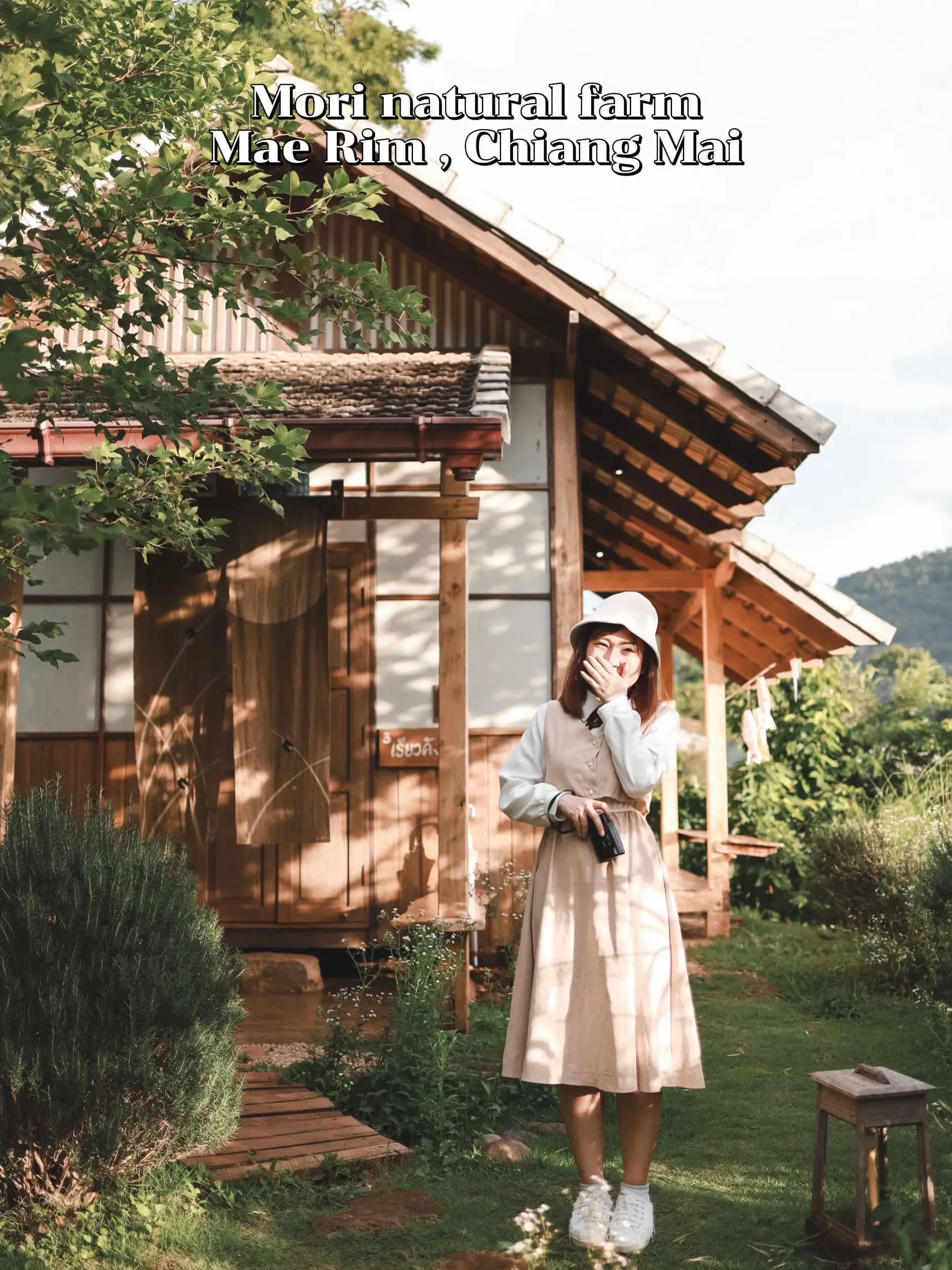 รวม 6 คาเฟ่สไตล์ญี่ปุ่น ที่เชียงใหม่ ฉบับอัพเดต | แกลเลอรีที่โพสต์โดย Toey Mono | Lemon8