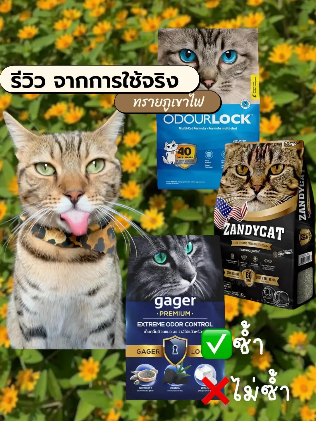 ทรายภูเขาไฟ | แกลเลอรีที่โพสต์โดย QuenTin Peel | Lemon8