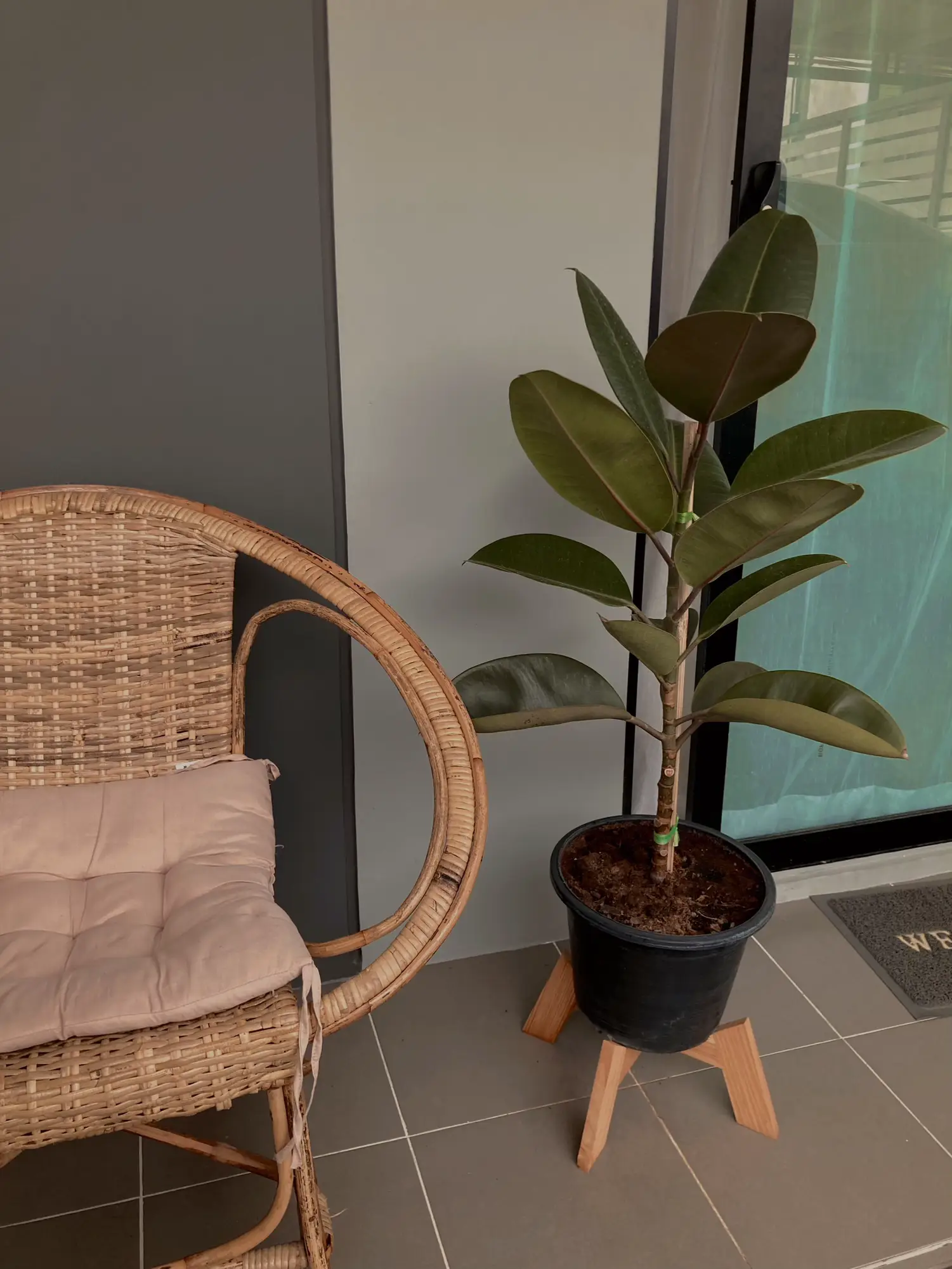 Home🤍 | Gallery posted by Sloth cafe | Lemon8