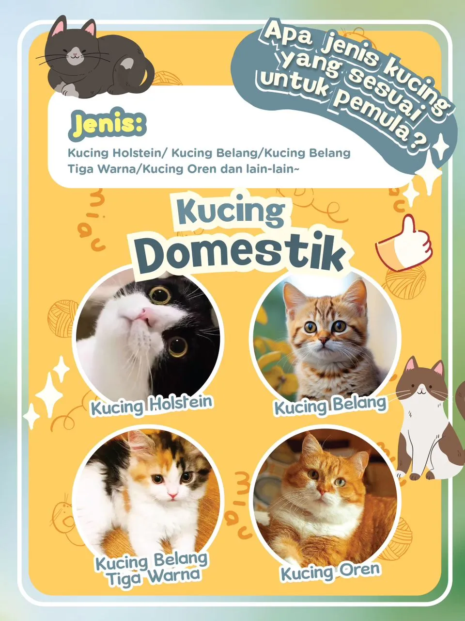 jenis-jenis kucing - Pencarian Lemon8
