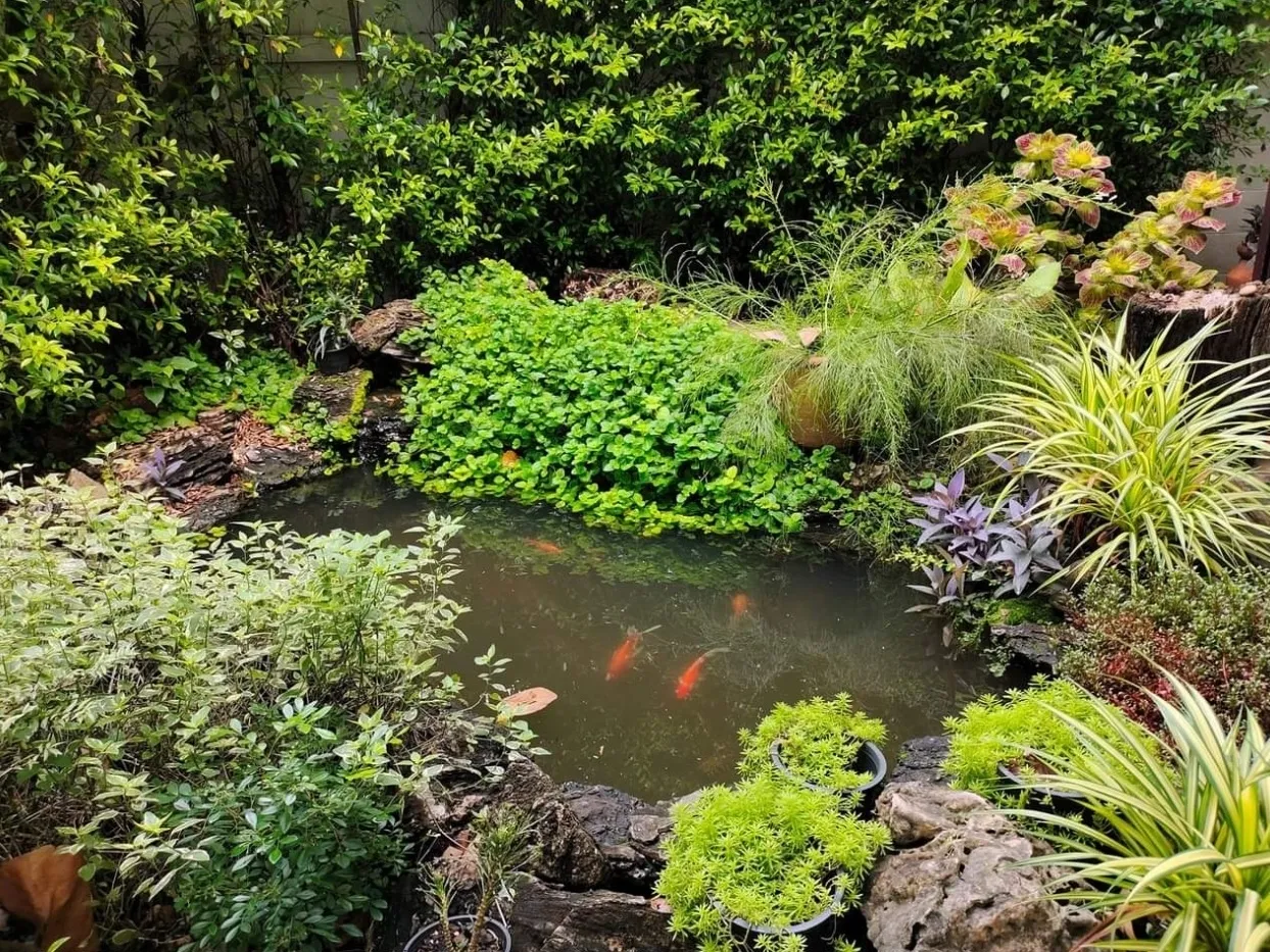 Seven Rabbit Coffee and Tea คาเฟ่ในสวน ย่านสวนหลวง | แกลเลอรีที่โพสต์ ...