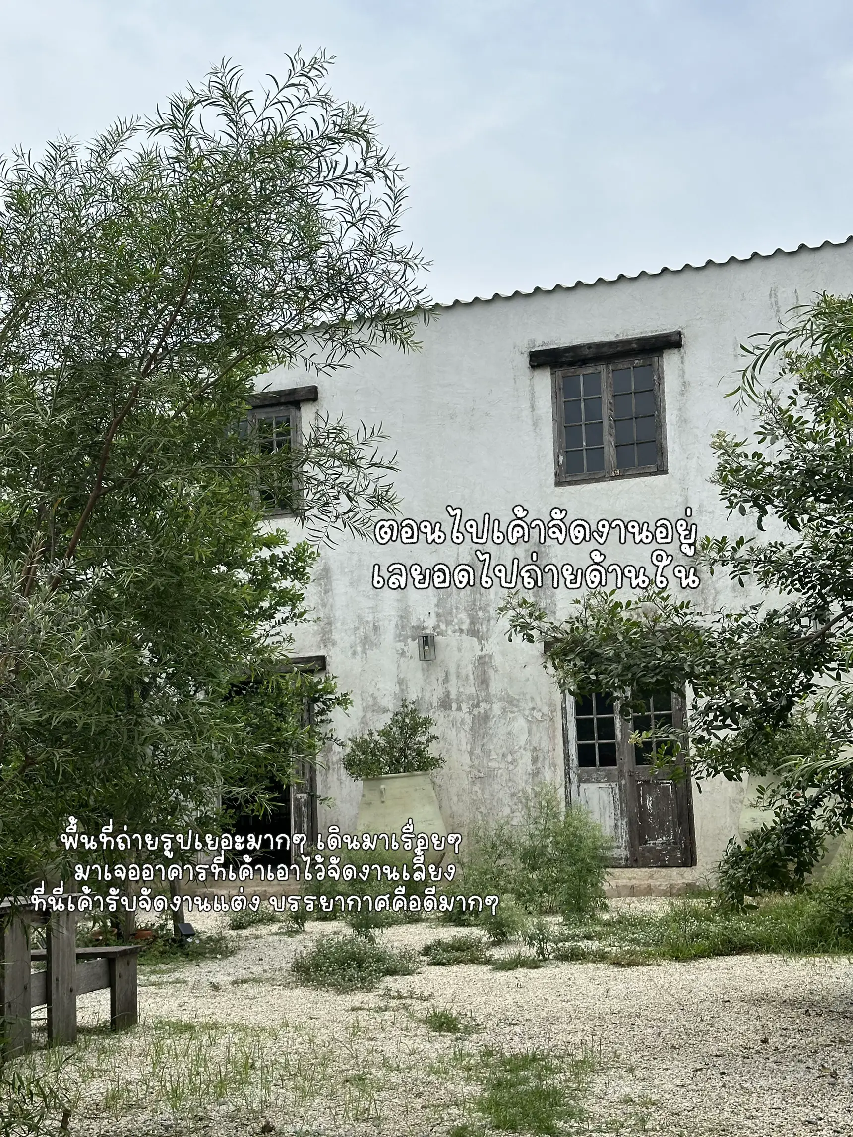 Whispering Cafe 🌲🍷 | แกลเลอรีที่โพสต์โดย Kunview | Lemon8