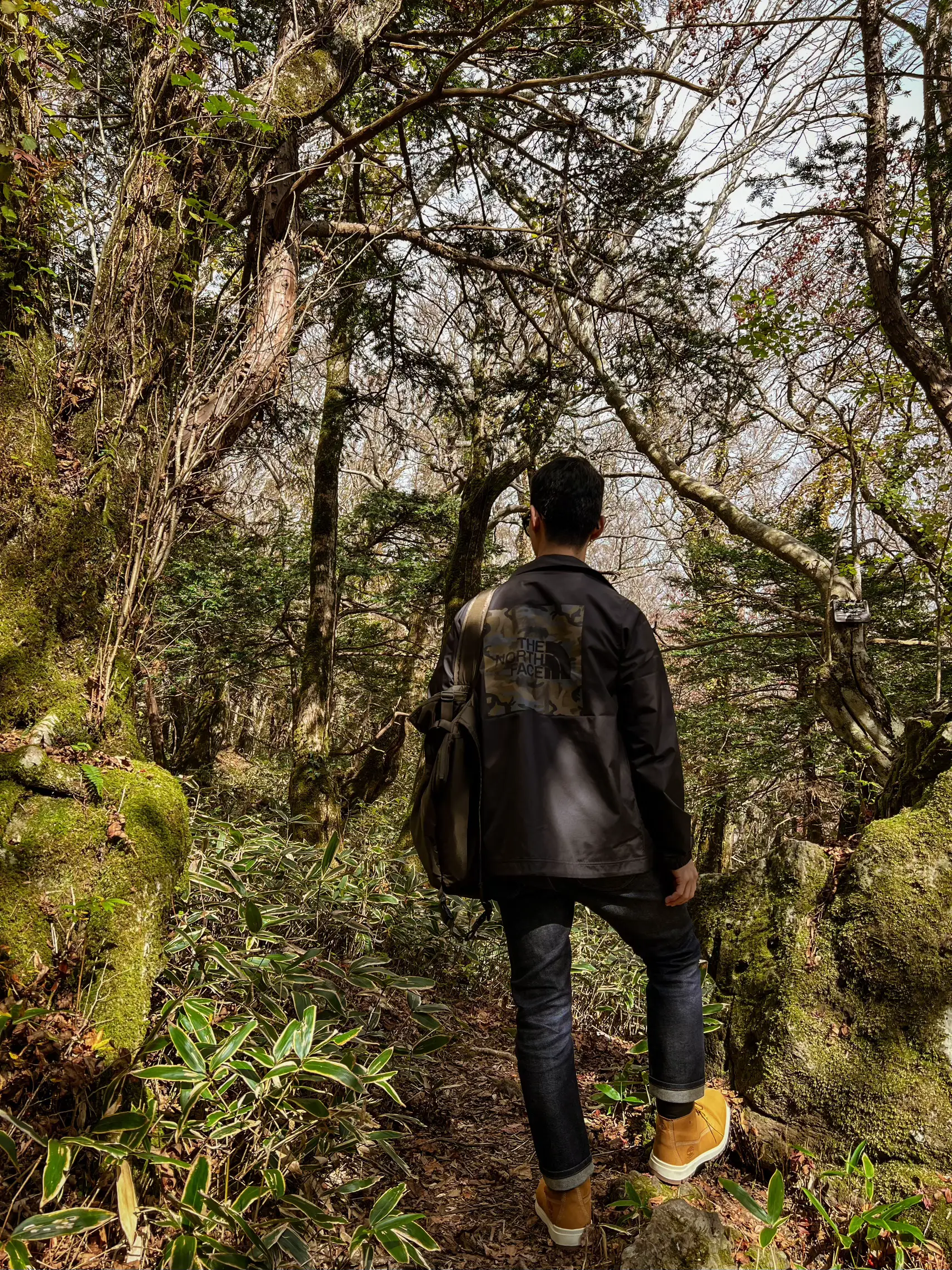 First time in soju land 🇰🇷 | Jeju leg | Day 2 a.m. | Gallery posted by ...
