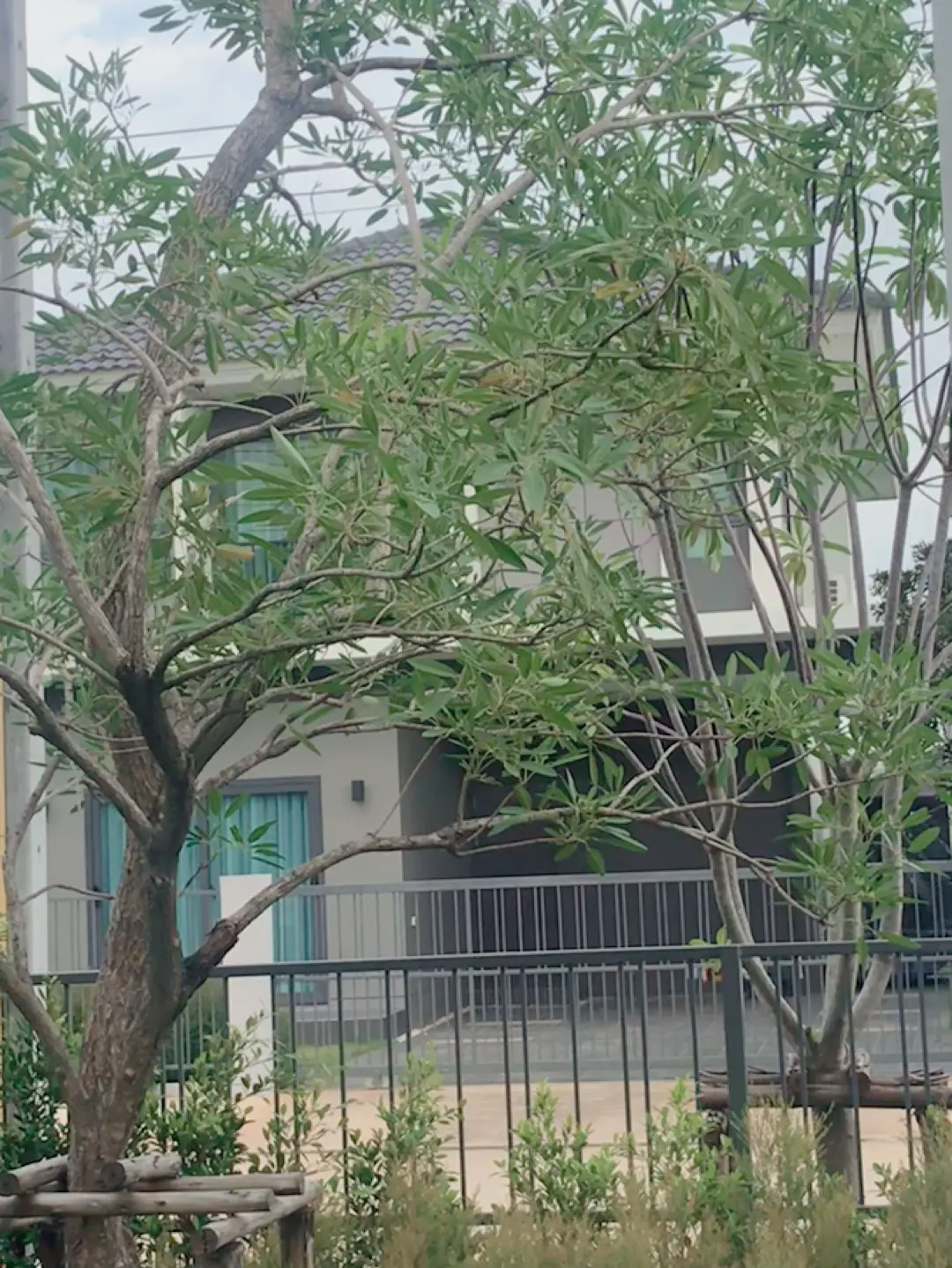 บ้านคือ safe zone ️🏡🏡 | วิดีโอที่เผยแพร่โดย สาวหน้ามนคน ️🏡 | Lemon8