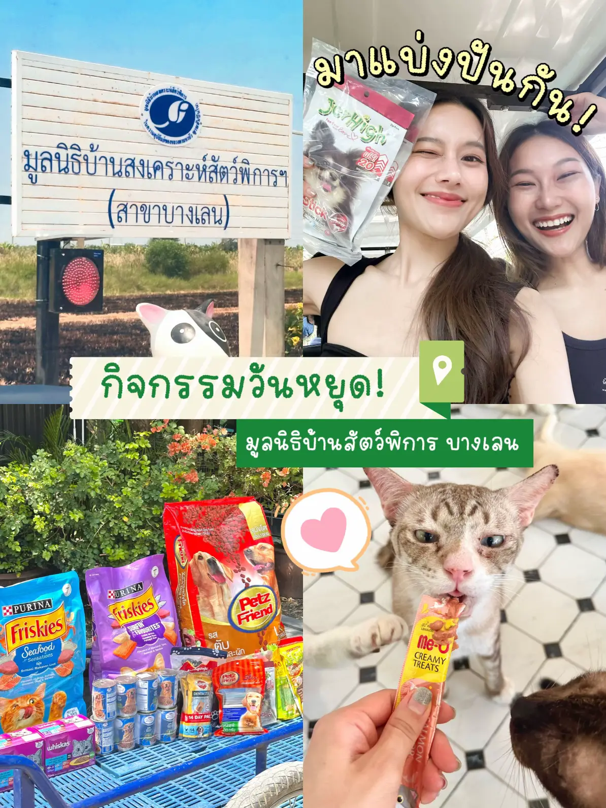 มาแบ่งปันความรักกัน!🩵🐶 | แกลเลอรีที่โพสต์โดย 𝑴𝒊𝒈𝒂𝒍𝒆🍒 | Lemon8