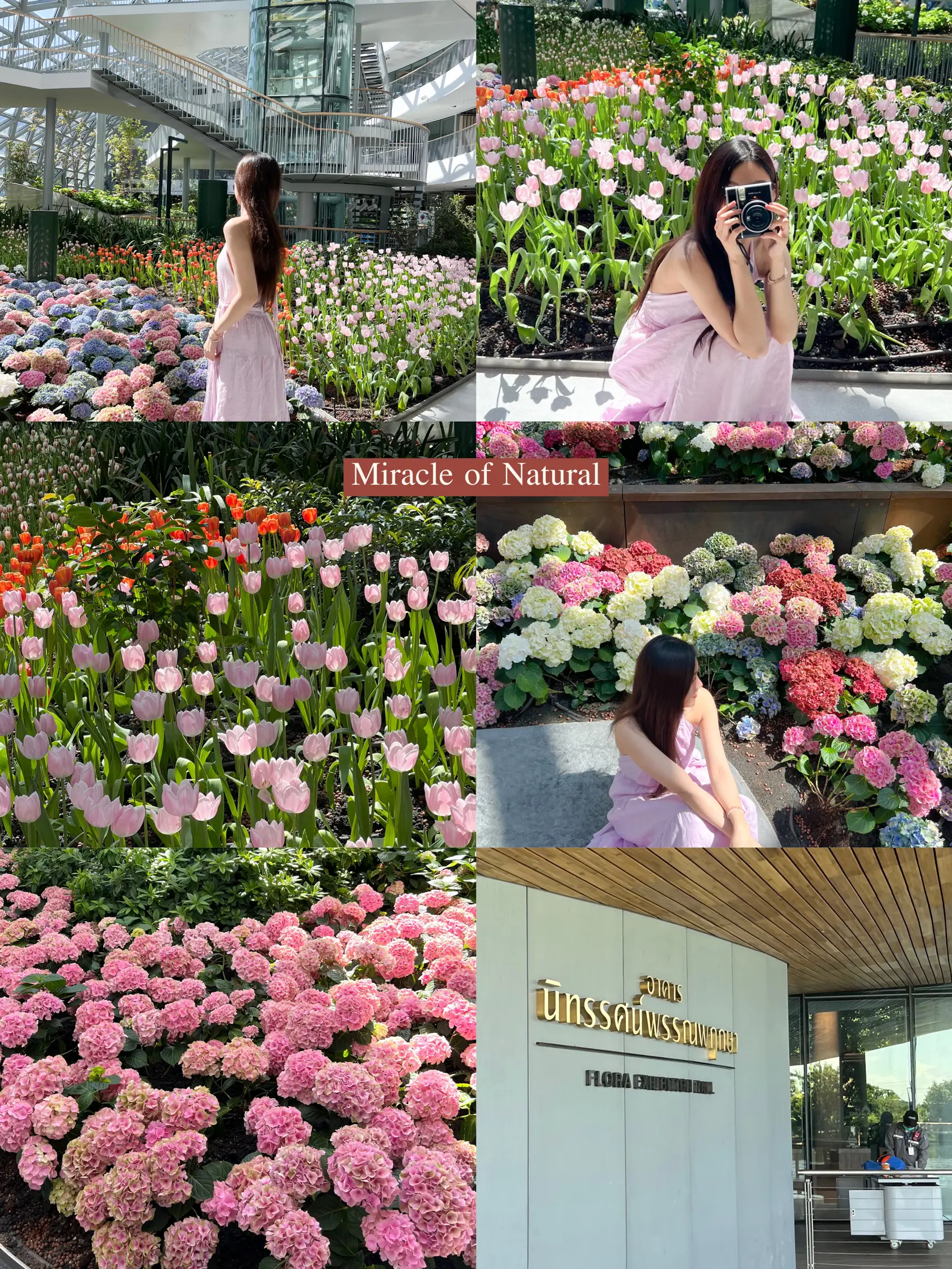 6โลเคชั่น เที่ยวระยอง🚣🏻💦 | แกลเลอรีที่โพสต์โดย may♡ | Lemon8