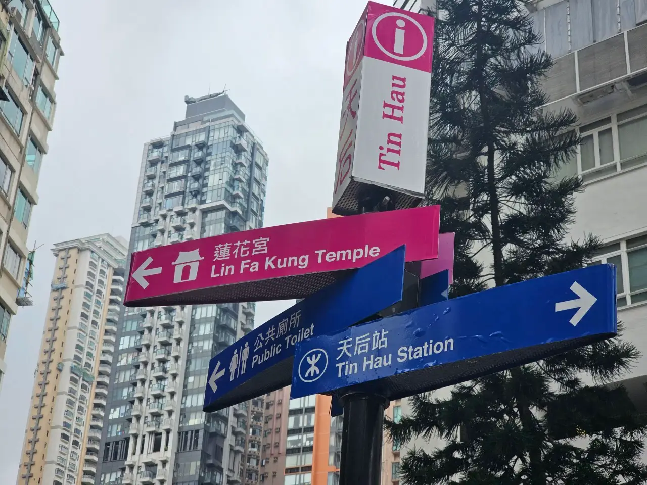 ชวนไปไหว้เทพเจ้าโชคลาภสายนรก ที่วัด Lin Fa Kung Temple | แกลเลอรีที่ ...