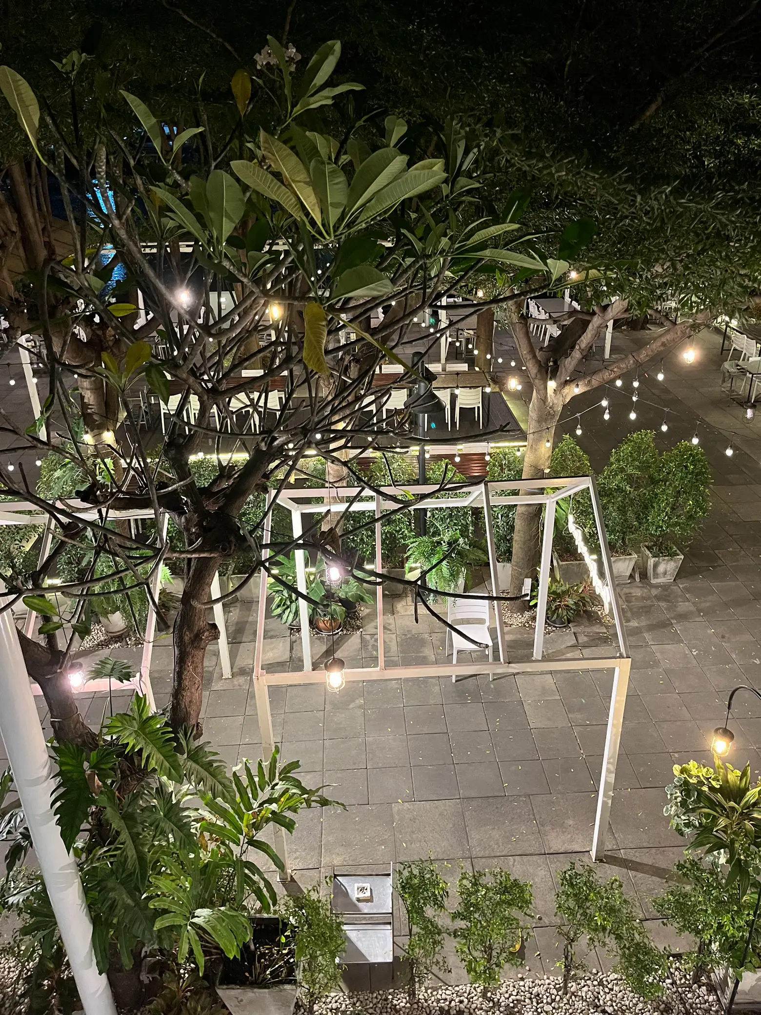 Savoey River View ดินเนอร์ริมแม่น้ำอาหารอร่อย 🐟🍴 | แกลเลอรีที่โพสต์โดย ...