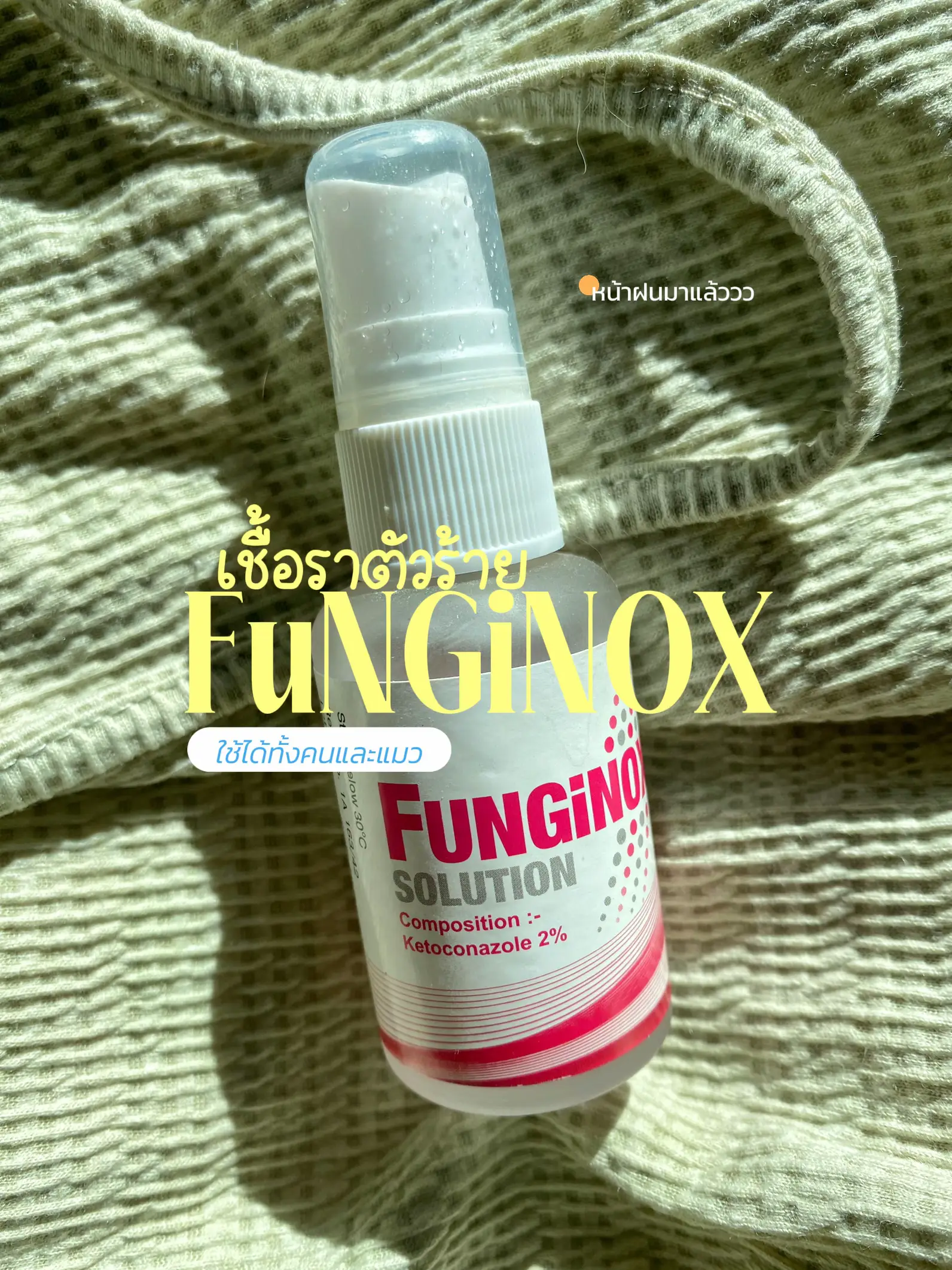 FuNGiNOX สเปย์เชื้อราแผลแห้งเร็ว | แกลเลอรีที่โพสต์โดย Waan Chan | Lemon8