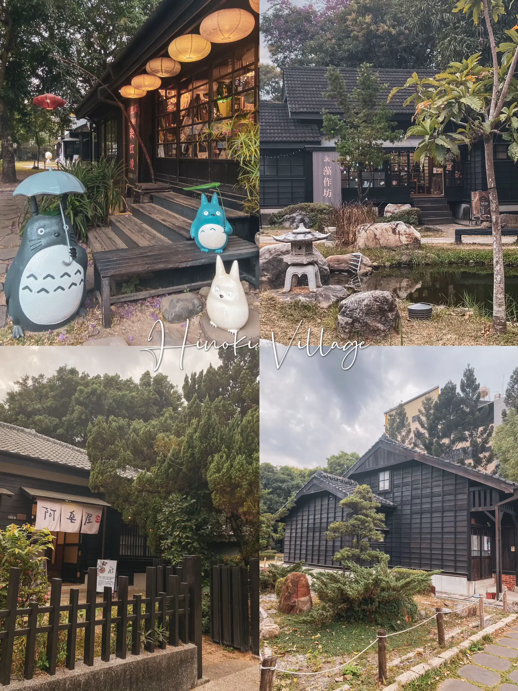 2D1N AT ALISHAN, TAIWAN (IS IT WORTH IT???) 🚂🪵🌤️🌳 | Gallery posted by ...