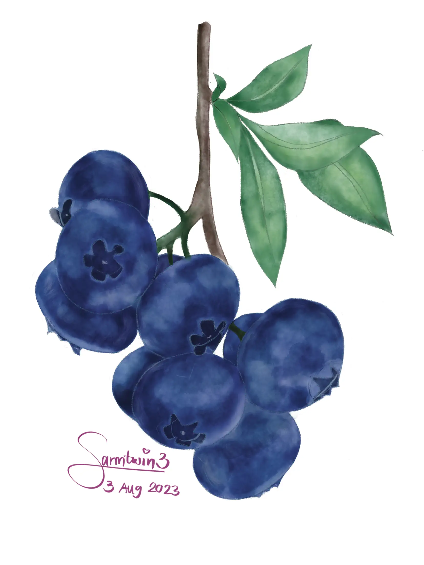 Part 2 (Finals) Blueberry Drawing | แกลเลอรีที่โพสต์โดย Sarmtwin3 | Lemon8