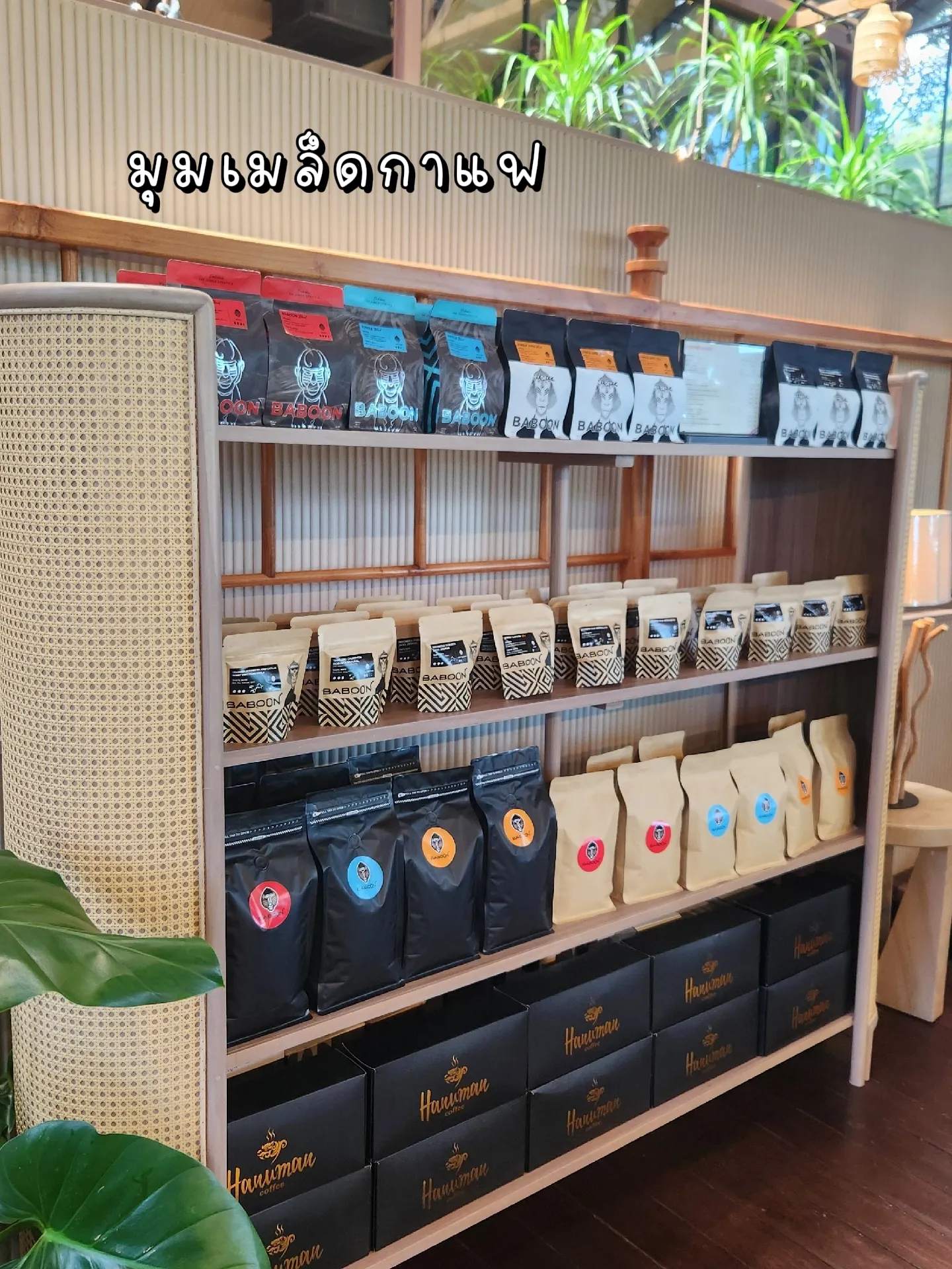 Baboon cafe Phuket คาเฟ่กลาสเฮ้า ท่ามกลางป่า | แกลเลอรีที่โพสต์โดย Ar ...