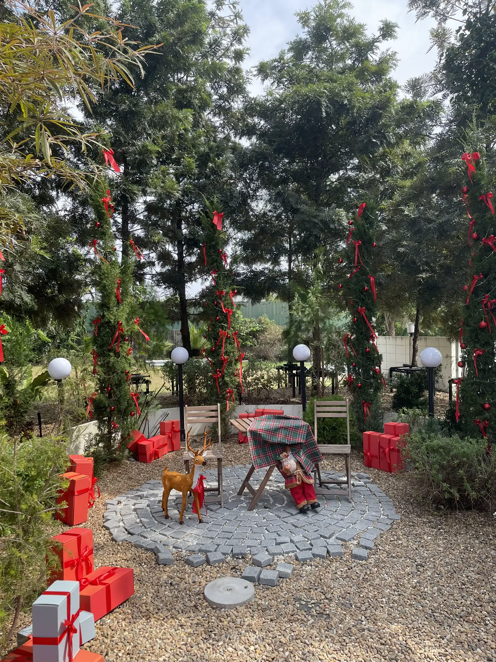 📌 saturday cafe ใกล้วัดไร่ขิง | แกลเลอรีที่โพสต์โดย parntor_ntp | Lemon8