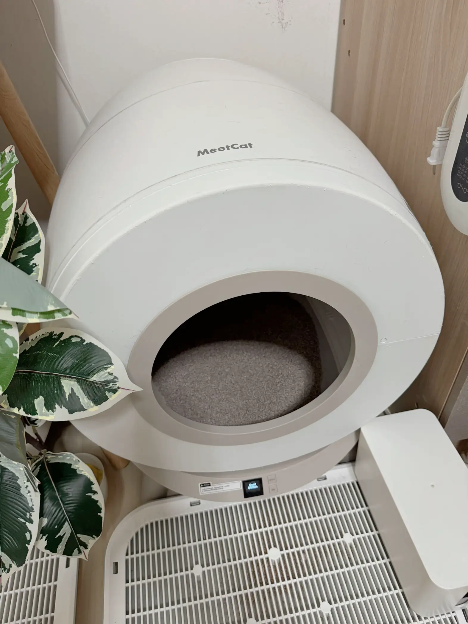 ห้องน้ำแมวอัตโนมัติ Meetcat กับ Petree🐱 | แกลเลอรีที่โพสต์โดย Fon_eats ...