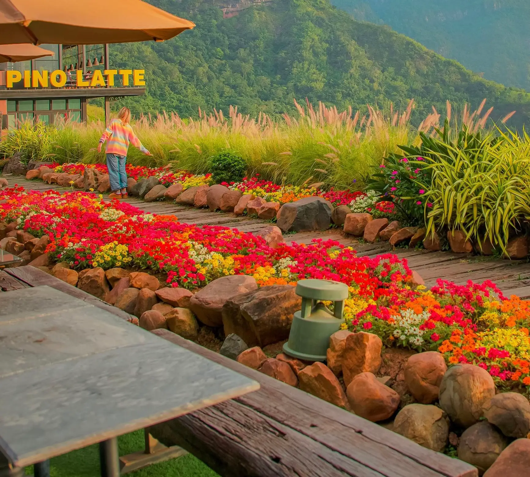 คาเฟ่ย่านเขาค้อ | แกลเลอรีที่โพสต์โดย Tipfy.stories | Lemon8