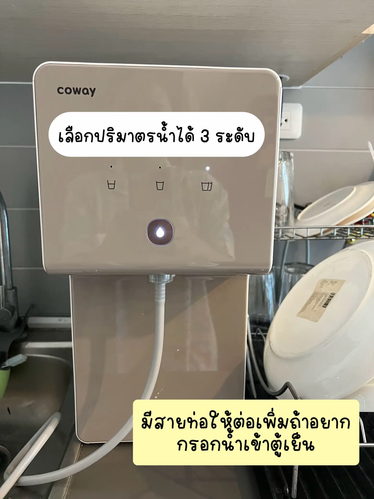 COWAY Water Purifier Review After 1 Year Of Use! 💦 | Gallery posted by ...