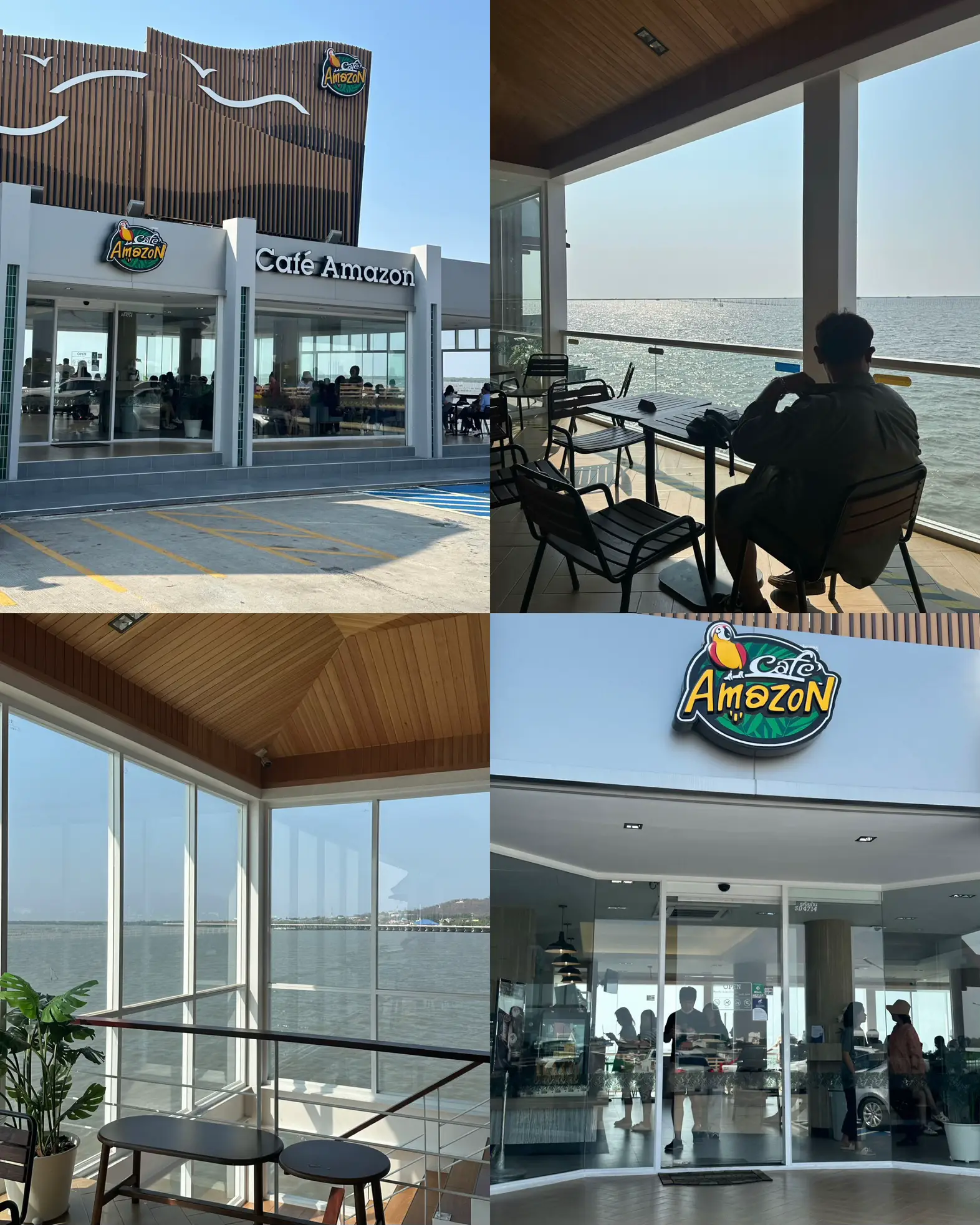 🌊 Café Amazon ติดทะเลใกล้กทม. | แกลเลอรีที่โพสต์โดย punpromotion | Lemon8