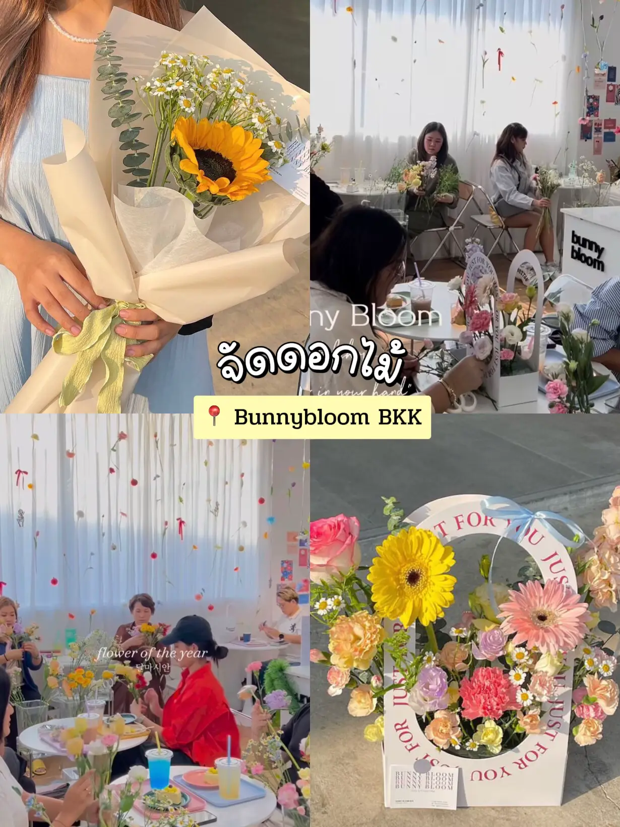 Workshop cafe coordinates | Gallery posted by WeGoWhere | Lemon8