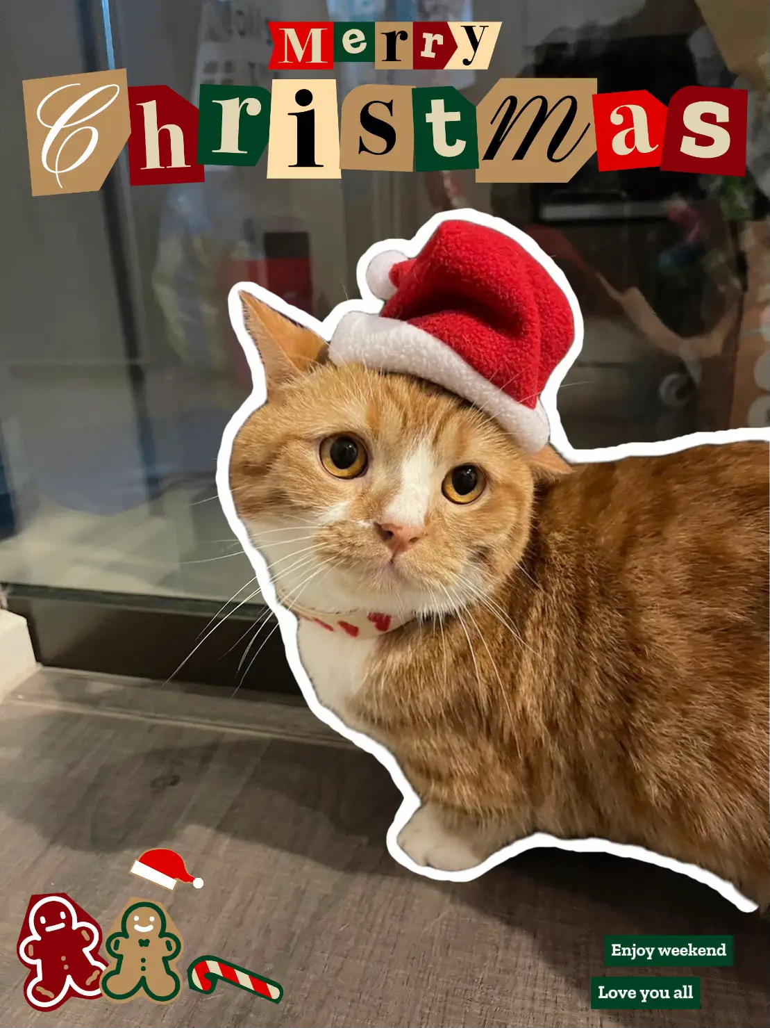 Merry Christmas 🧸🧣 🏻 🎄🫕🎅🏻 🏡🗼💡 | แกลเลอรีที่โพสต์โดย bebow🎈42♾ | Lemon8