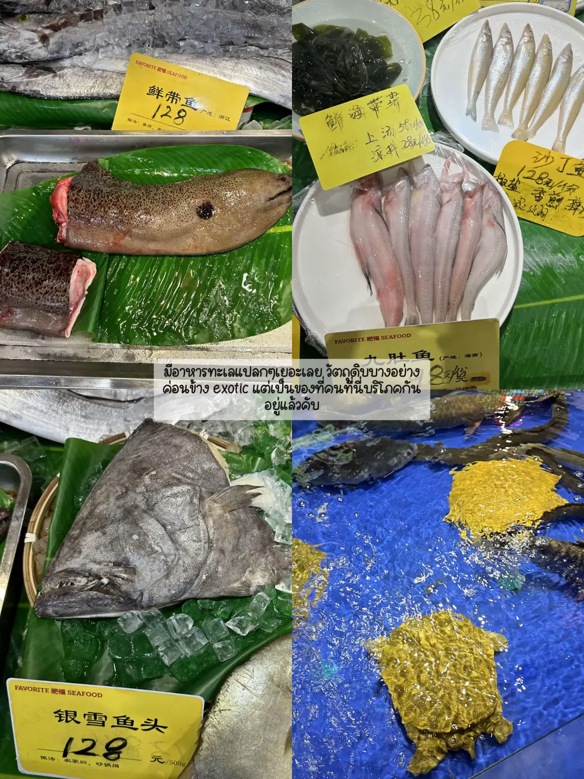 肥福 Fei Fu 🇨🇳ร้านอาหาร SEAFOOD ในปักกิ่ง!🐟🦀🍵 | แกลเลอรีที่โพสต์โดย ...