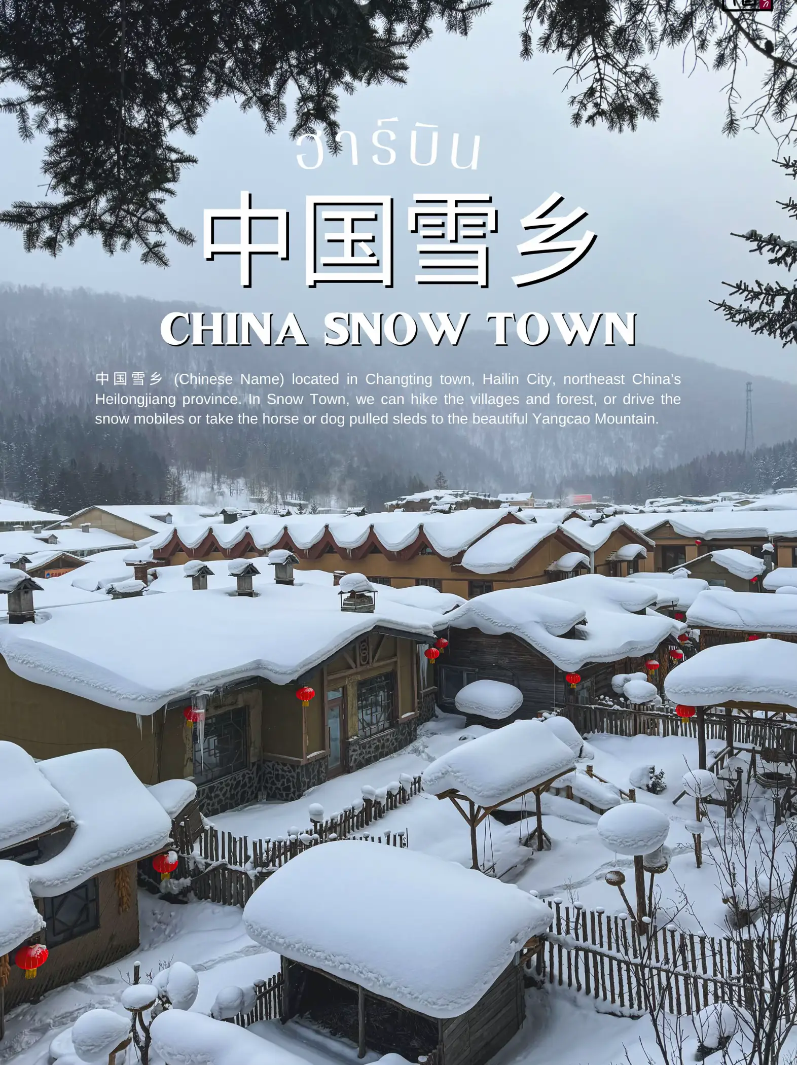☃️ China Snow Town (雪乡) | แกลเลอรีที่โพสต์โดย จีนดีออก | Lemon8