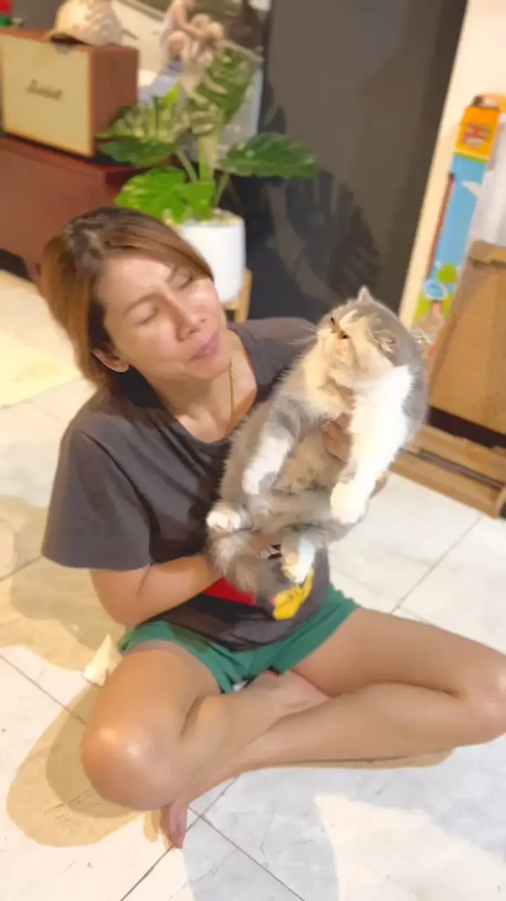 #ติดเทรนด์ #แมวน่ารัก #แมวเอ็ก | วิดีโอที่เผยแพร่โดย A warin | Lemon8