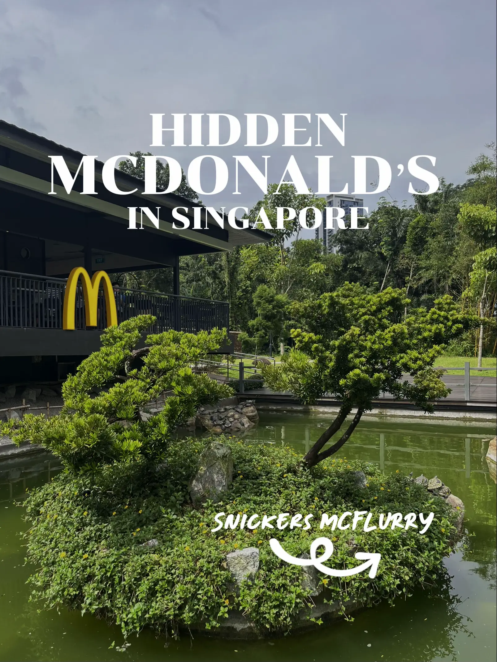 Prettiest McDonald’s outlet | Video published by SG HIDDEN GEMS | Lemon8