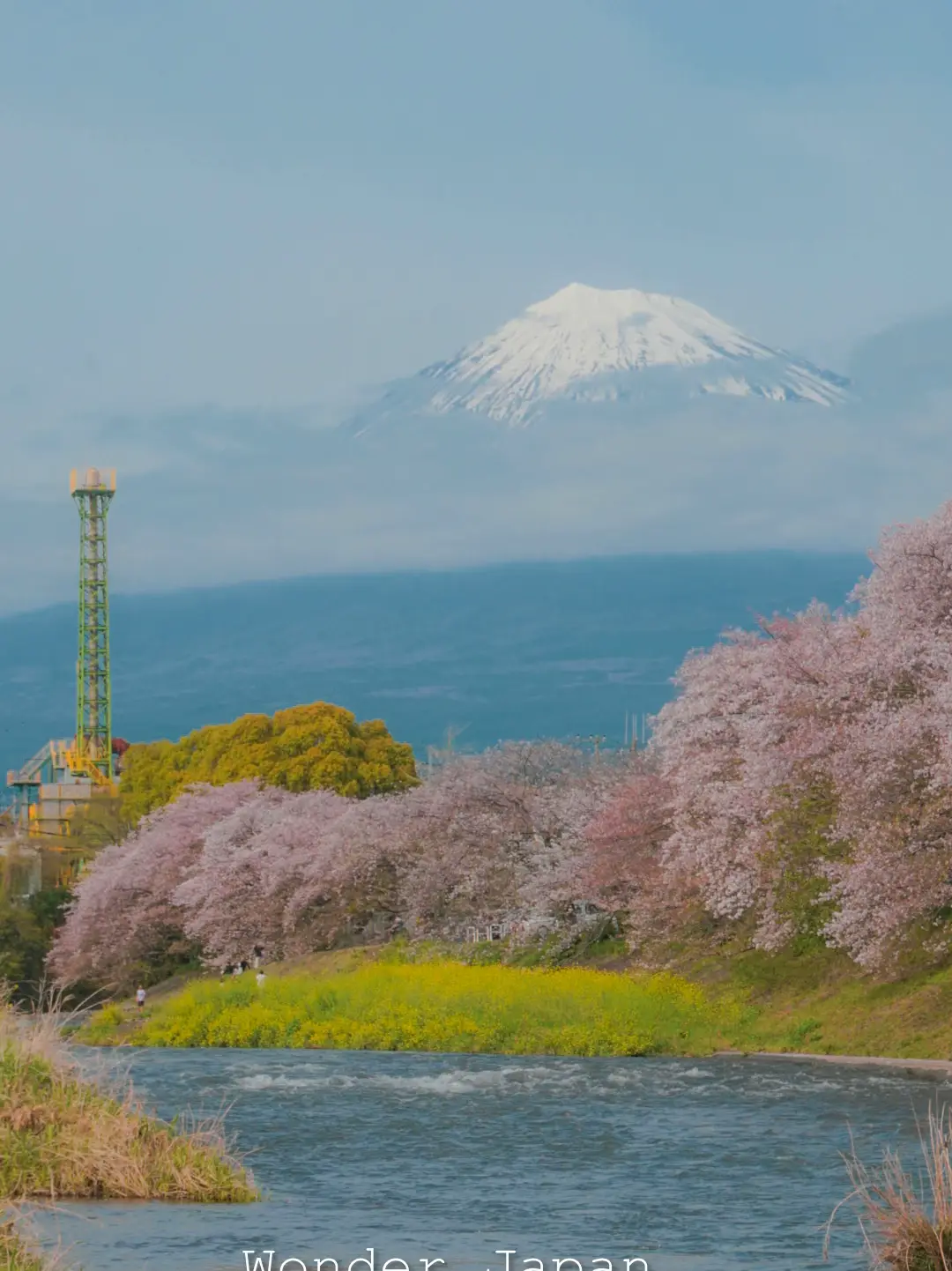 ชมซากุระ วิวฟูจิที่ Urui River Shizuoka | แกลเลอรีที่โพสต์โดย Visit ...