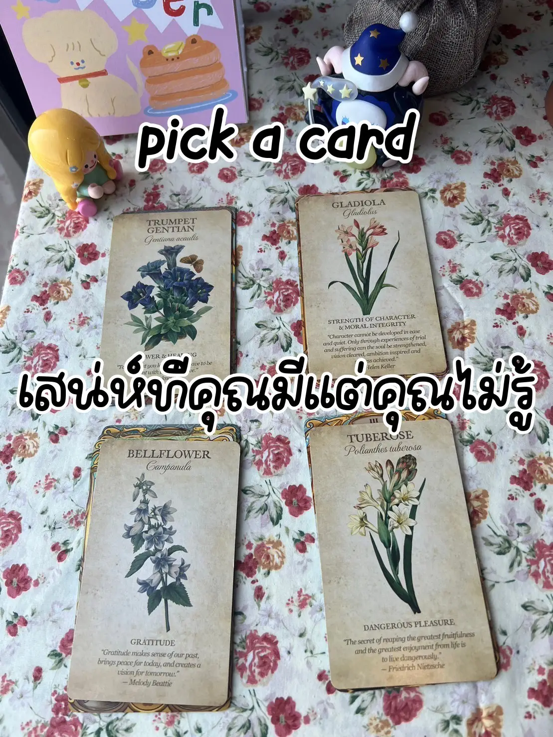 Pick a card เสน่ห์ที่คุณมีแต่ว่าคุณไม่รู้🔥🐈‍⬛ | แกลเลอรีที่โพสต์โดย ...